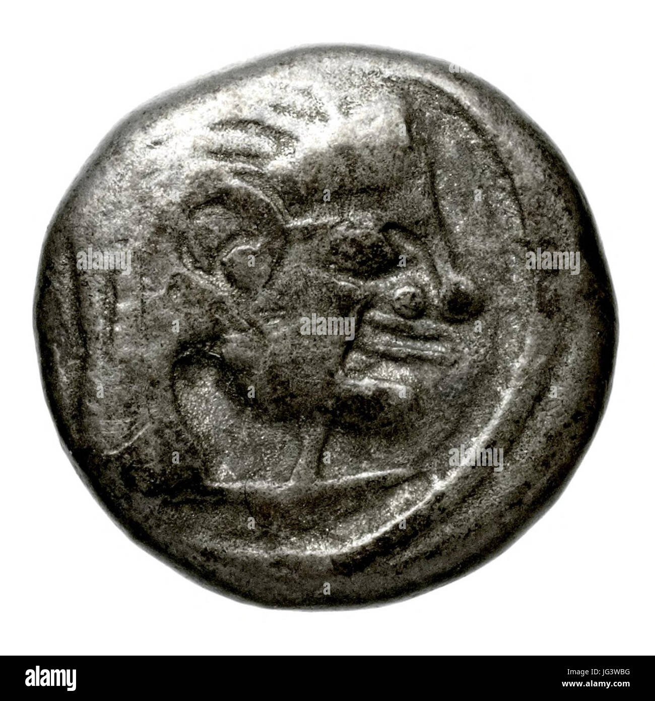 Colchide hi-res stock photography and images - Alamy