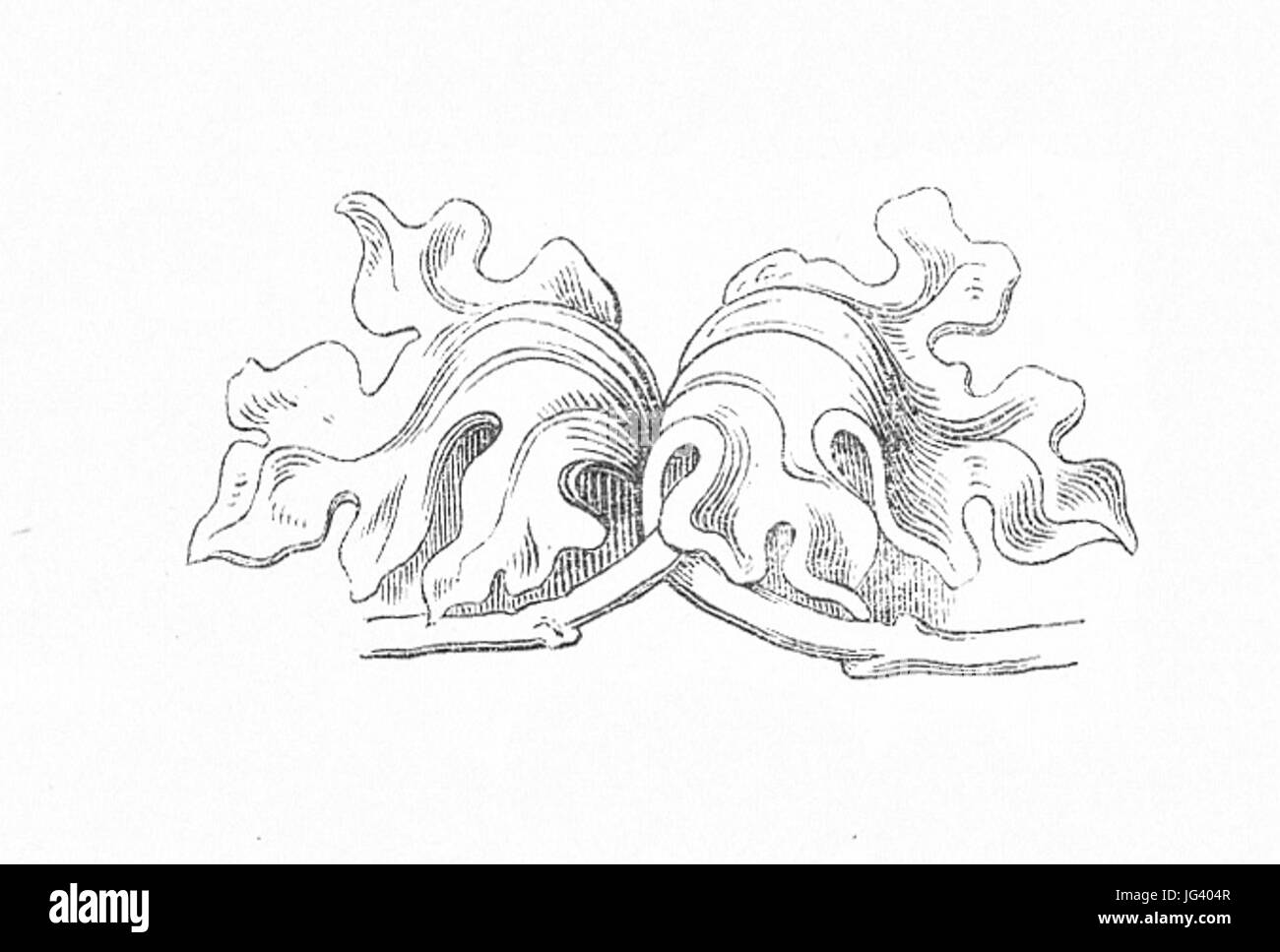 Charakteristik Black and White Stock Photos & Images - Alamy