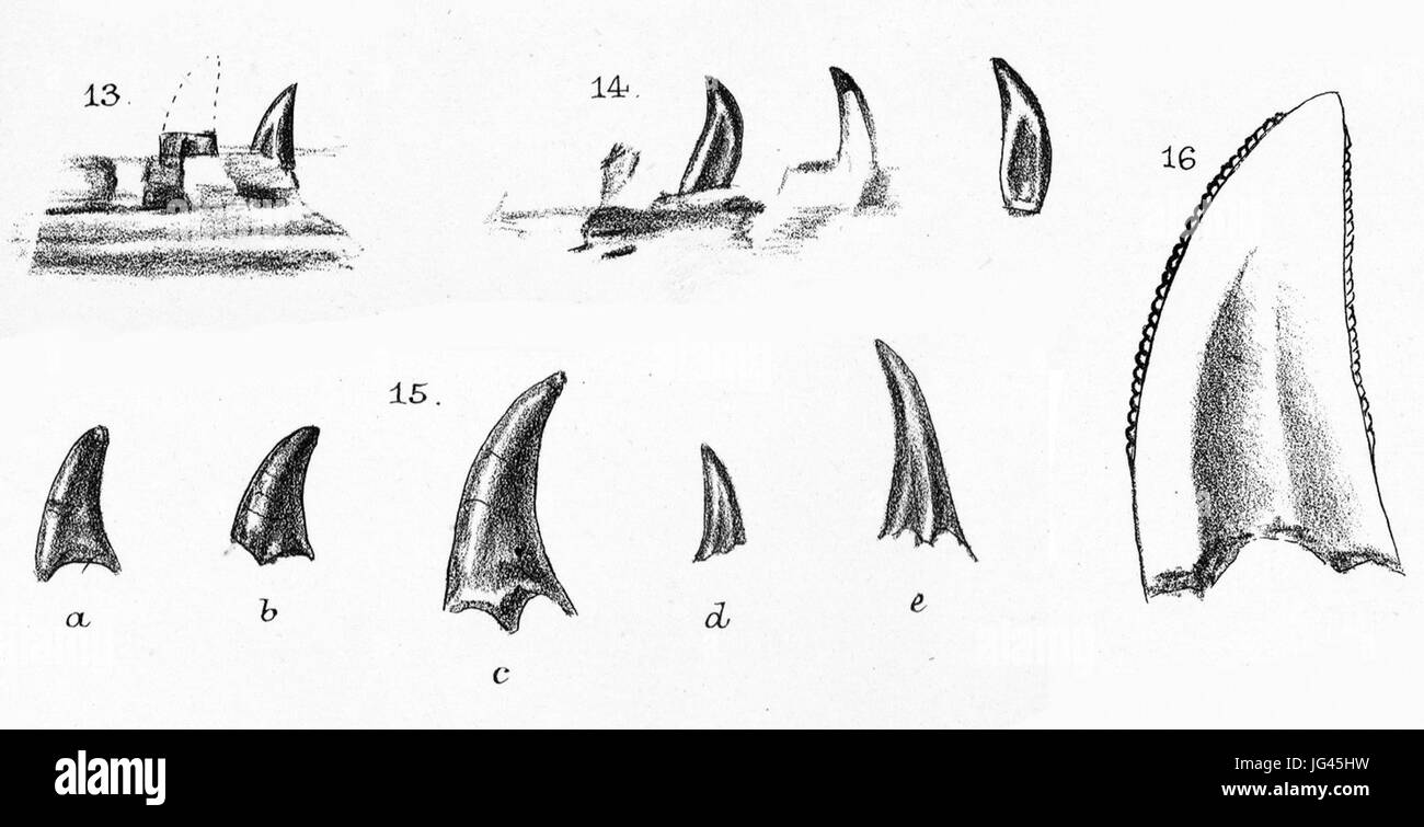 Nuthetes hi-res stock photography and images - Alamy