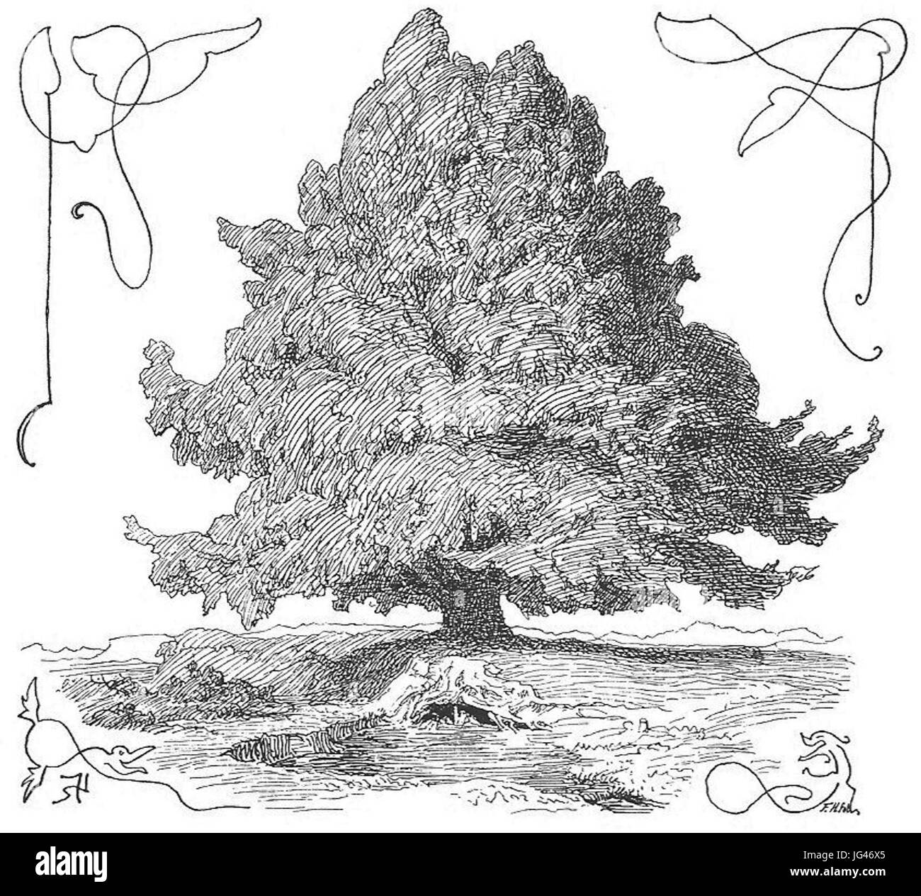 Om Yggdrasil by Frølich Stock Photo - Alamy