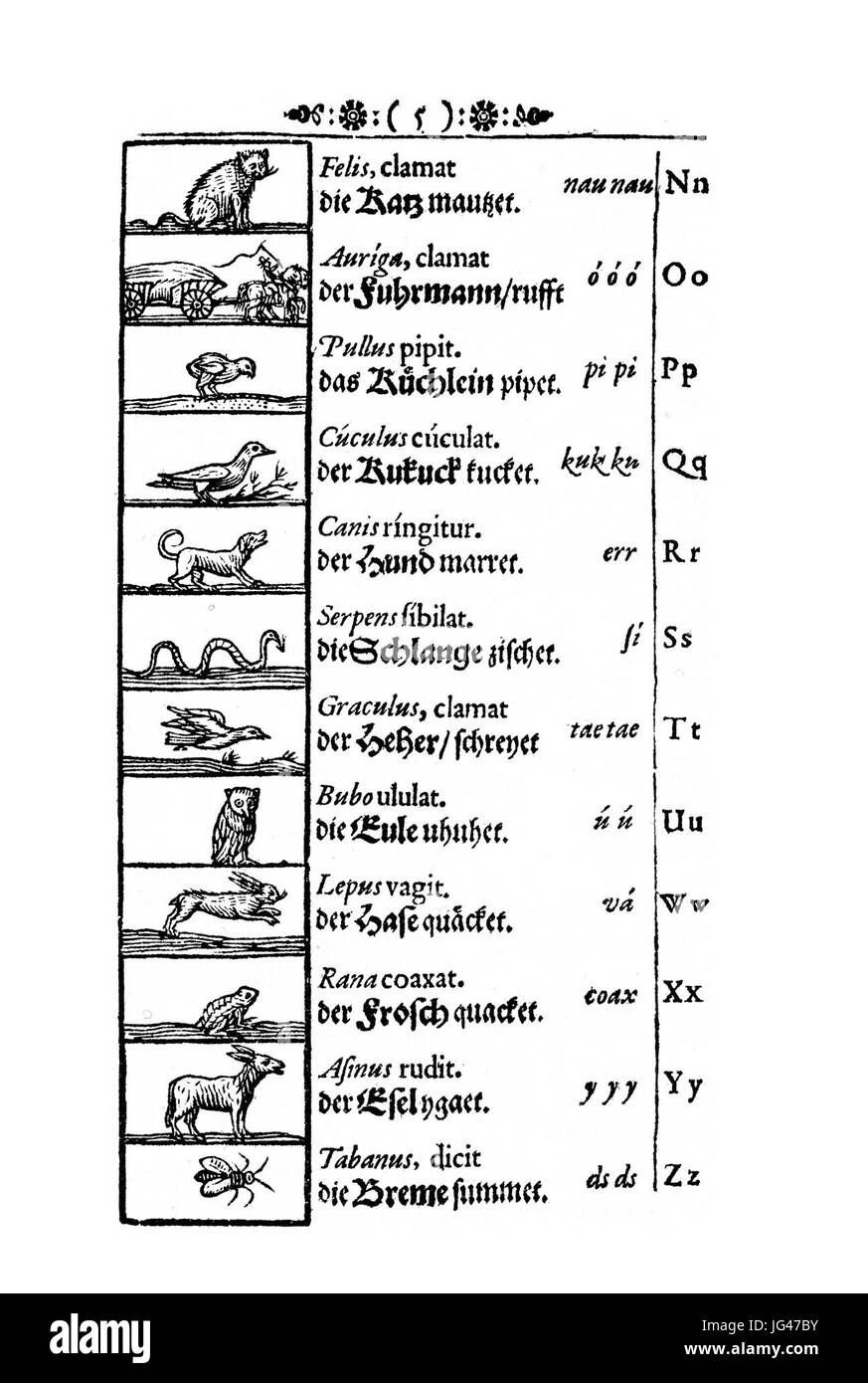 Orbis pictus hi-res stock photography and images - Alamy