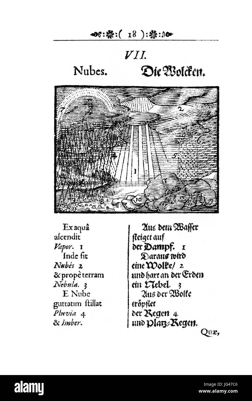 Orbis pictus Cut Out Stock Images & Pictures - Alamy