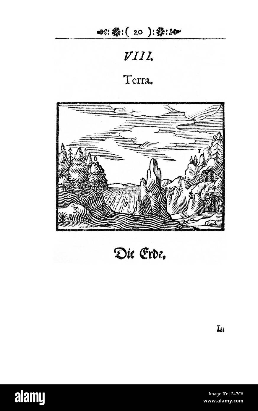 Orbis pictus Cut Out Stock Images & Pictures - Alamy