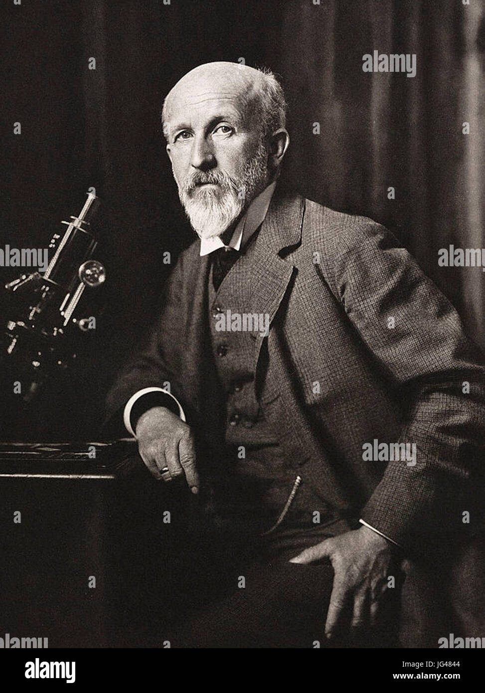 Hertwig hi-res stock photography and images - Alamy