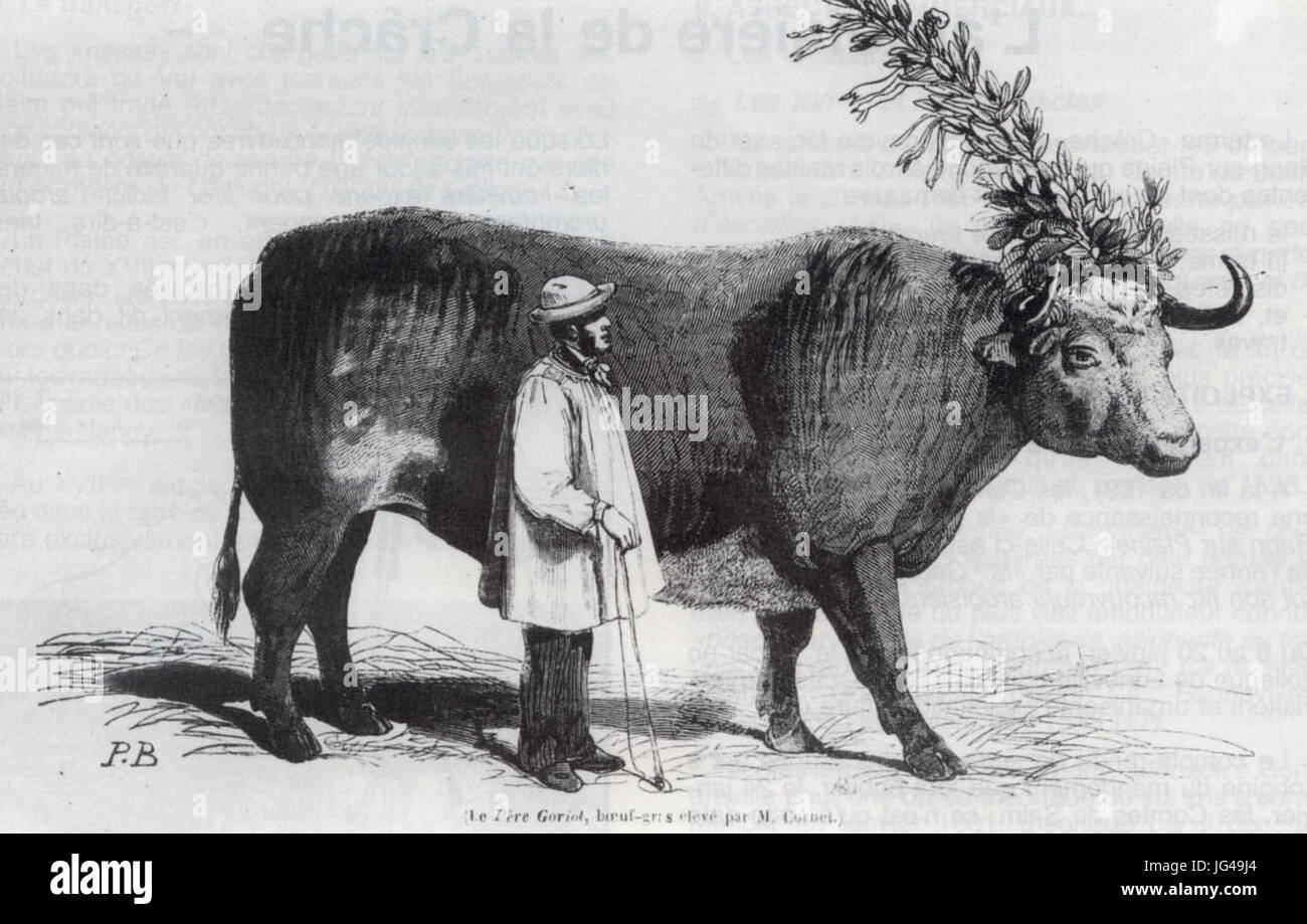 Goriot hi-res stock photography and images - Alamy