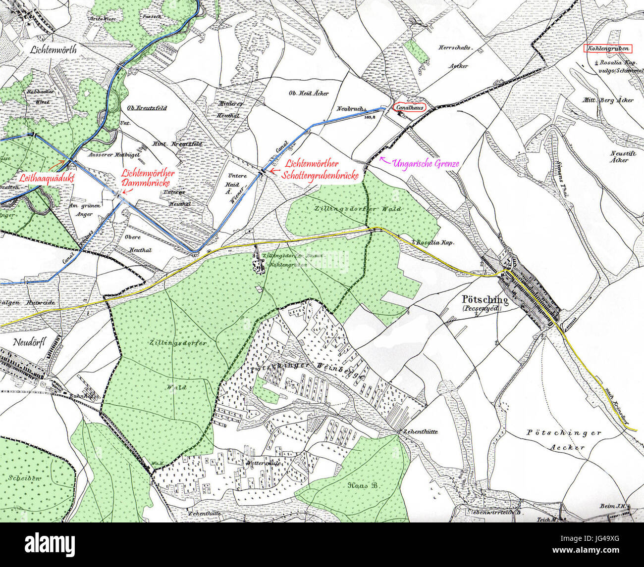 Ast plant hi-res stock photography and images - Alamy