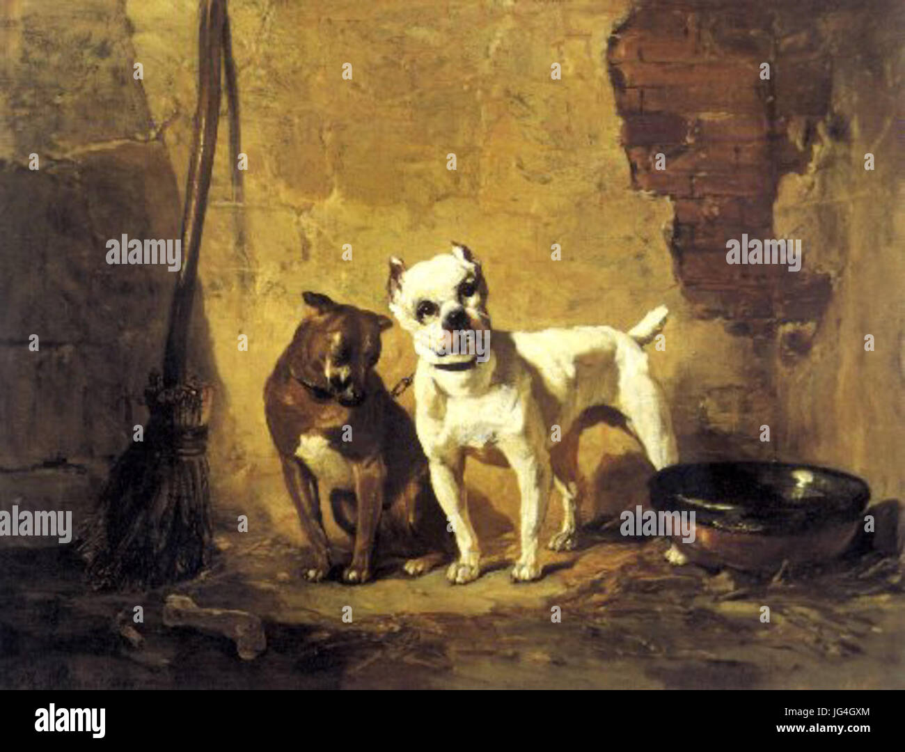 Philippe Rousseau - Best Of Friends - Bulldog 26 Bull Terrier Stock ...