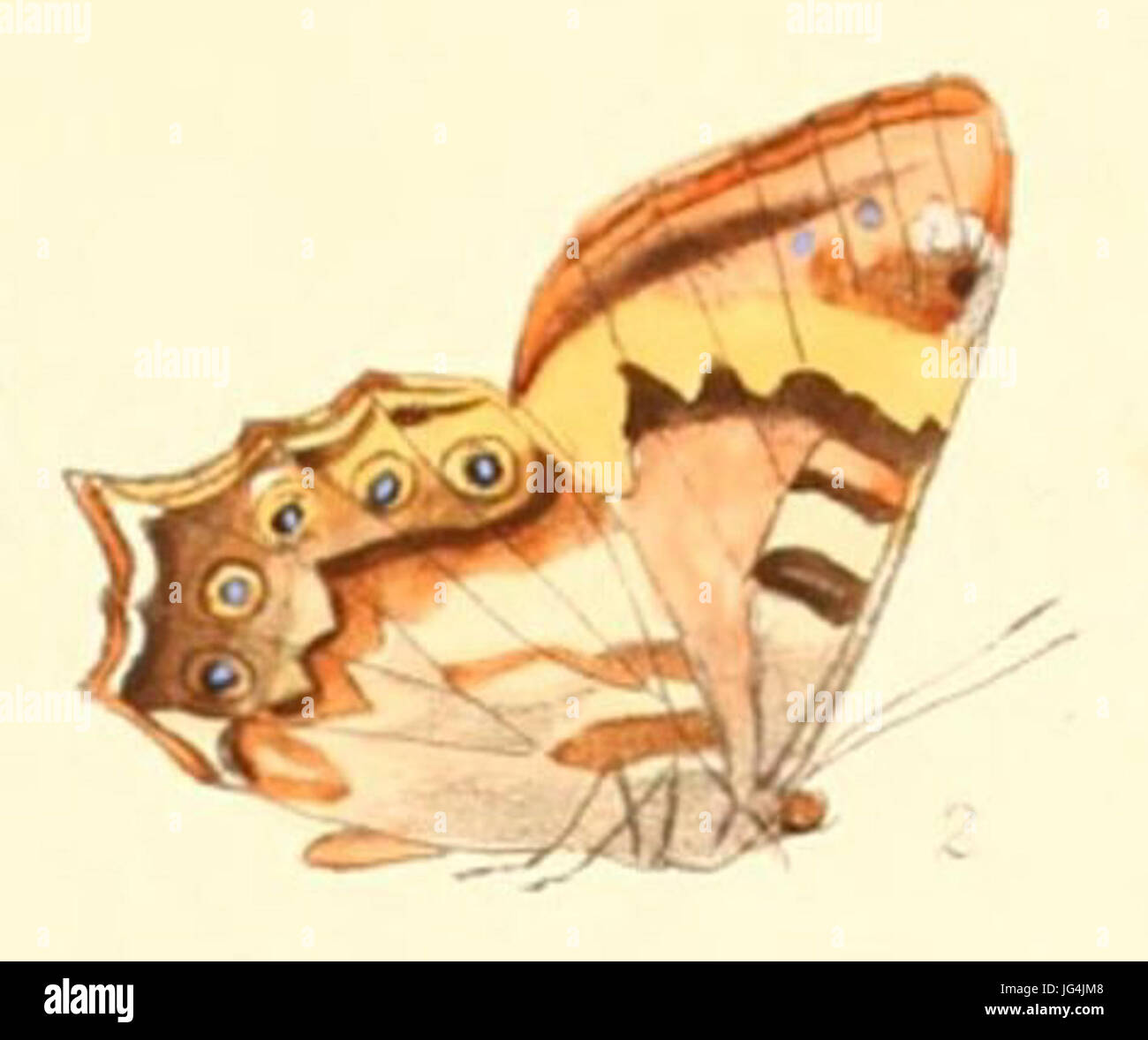 Lethe painting hi-res stock photography and images - Alamy