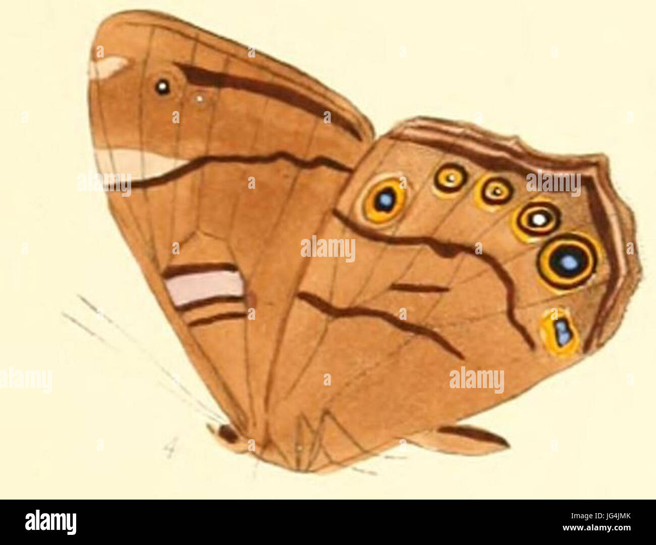 Lethe painting hi-res stock photography and images - Alamy