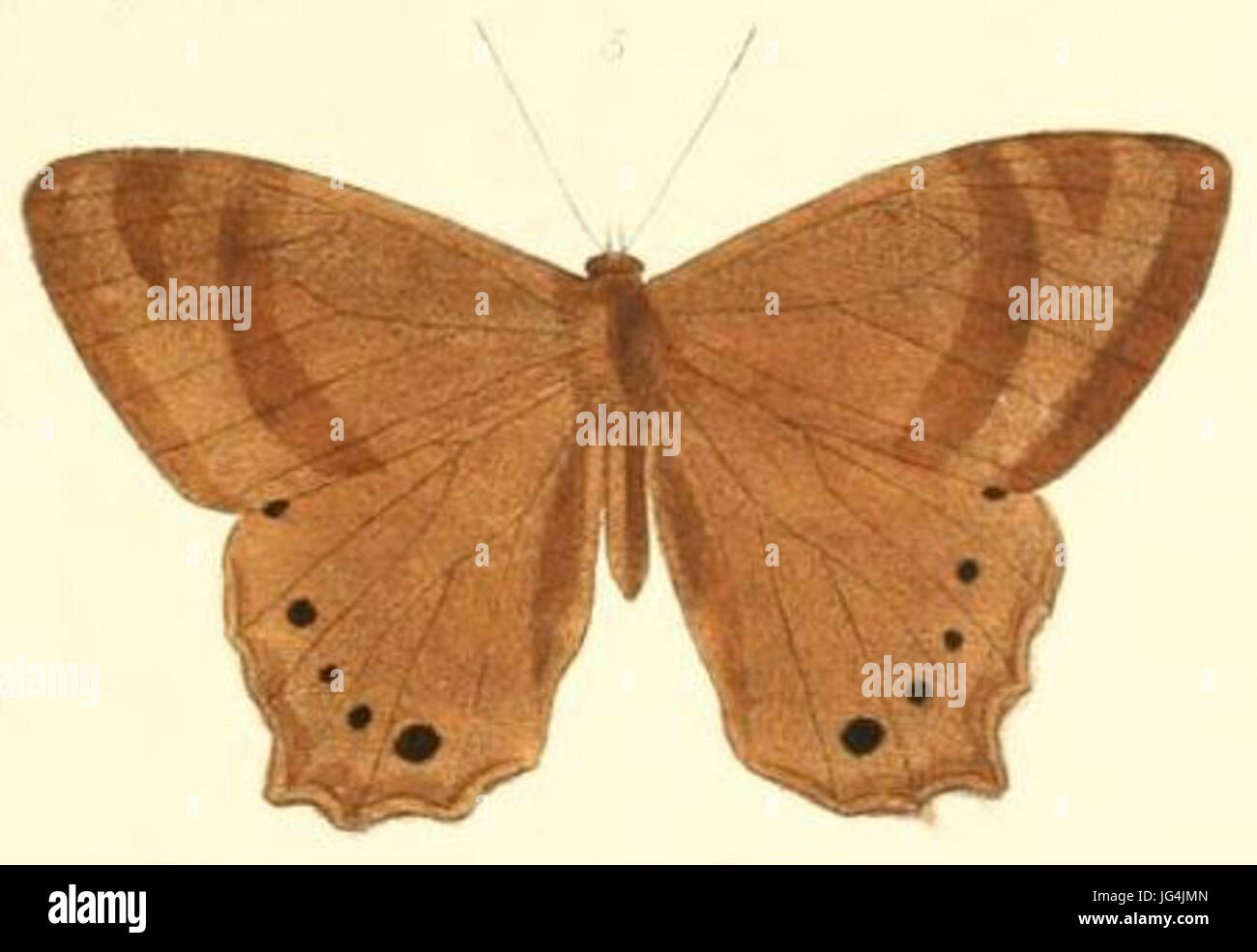 Lethe painting hi-res stock photography and images - Alamy