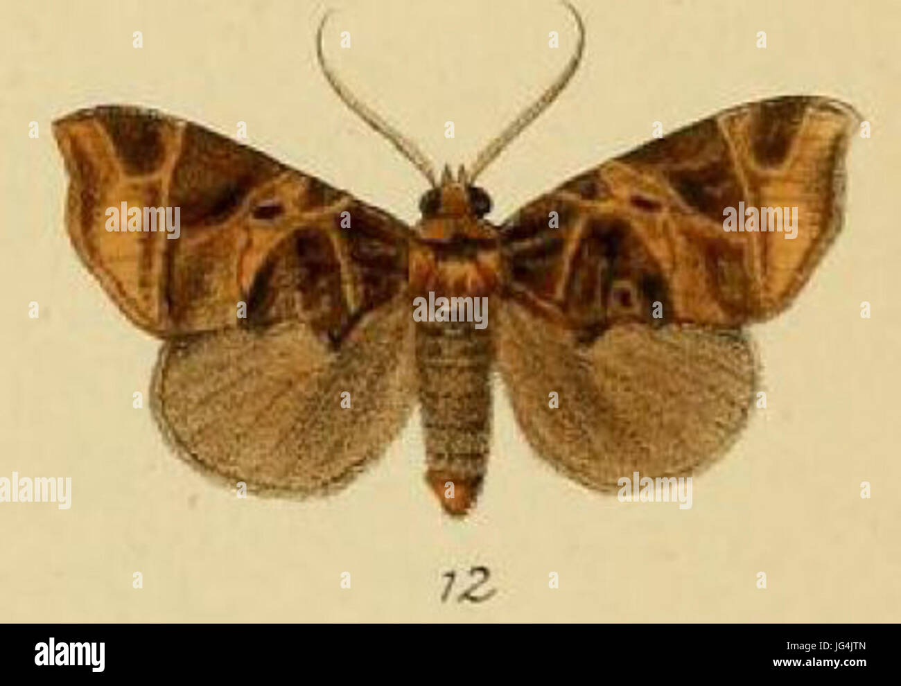 Birtha hi-res stock photography and images - Alamy