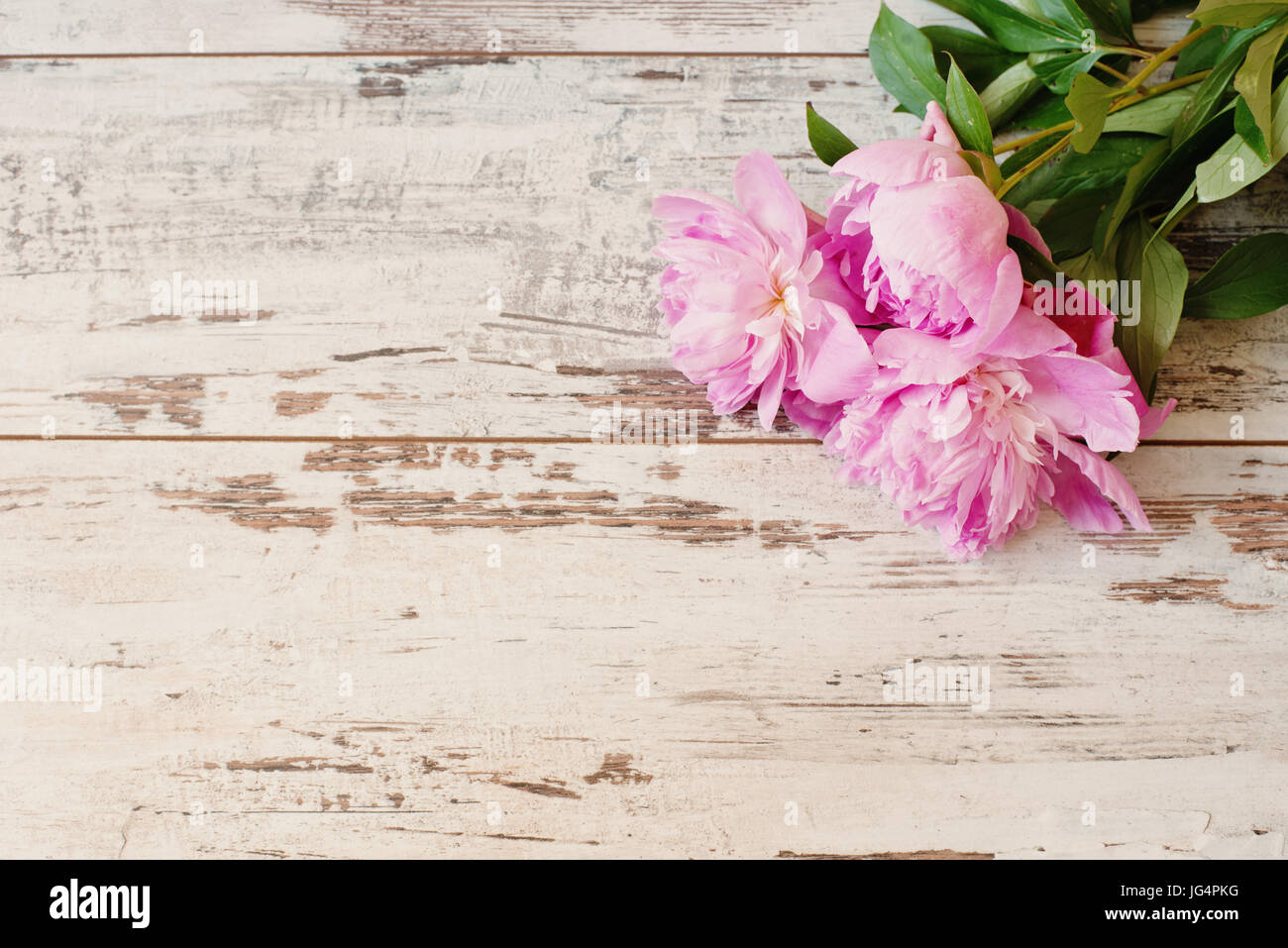 Pink Rustic Wood Background