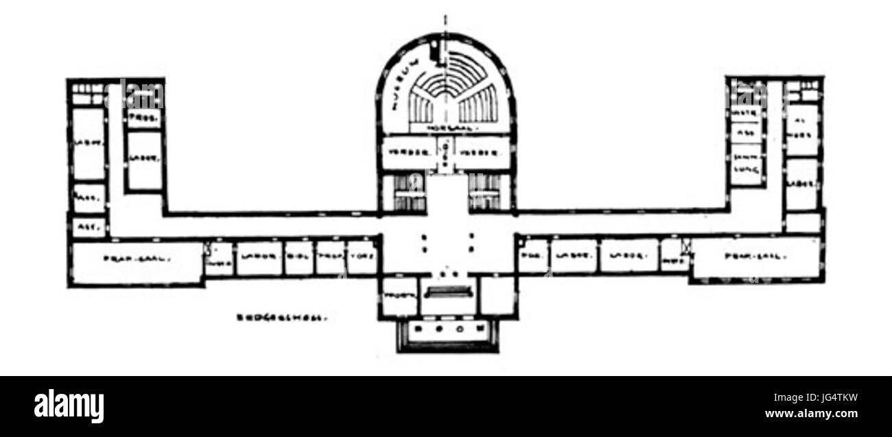 Plan anatomique hi-res stock photography and images - Alamy