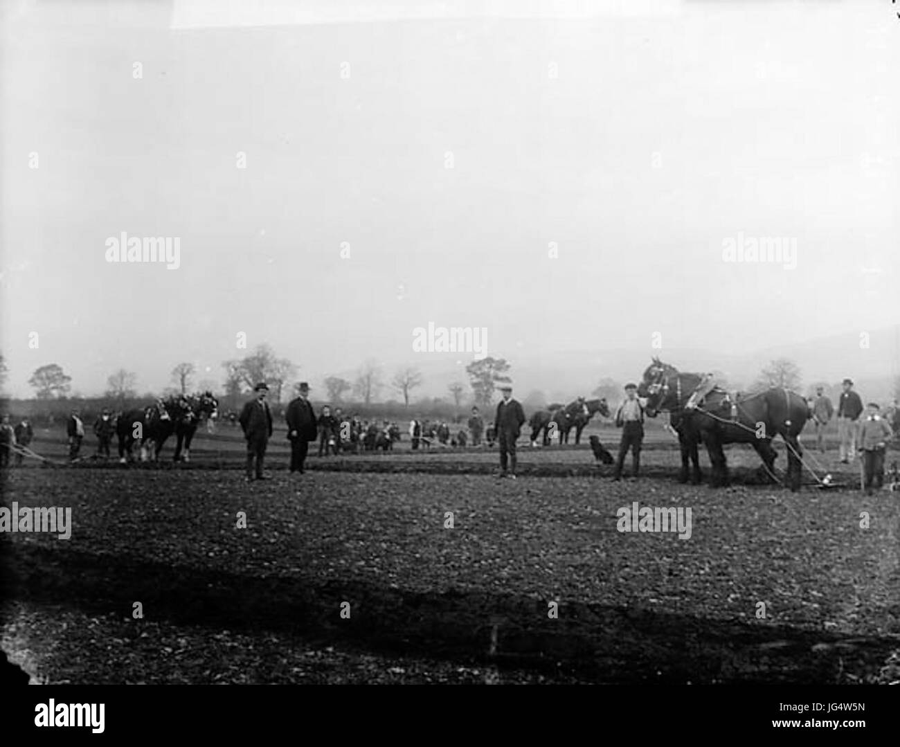 Ploughing match hi-res stock photography and images - Alamy