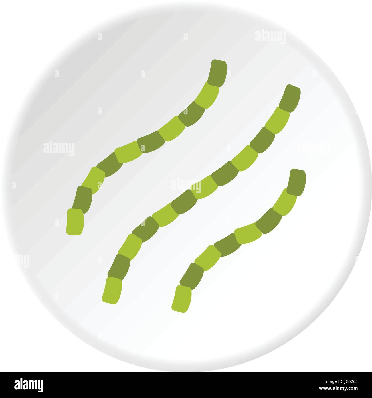 Escherichia coli infection Stock Vector Images - Alamy