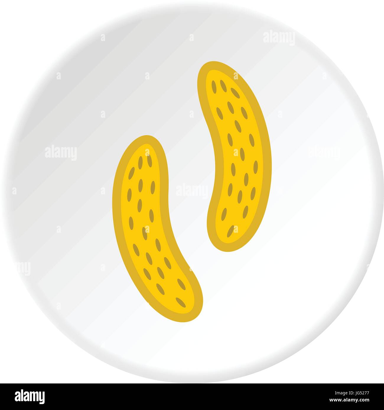 Epithelial cell icon circle Stock Vector Image & Art - Alamy
