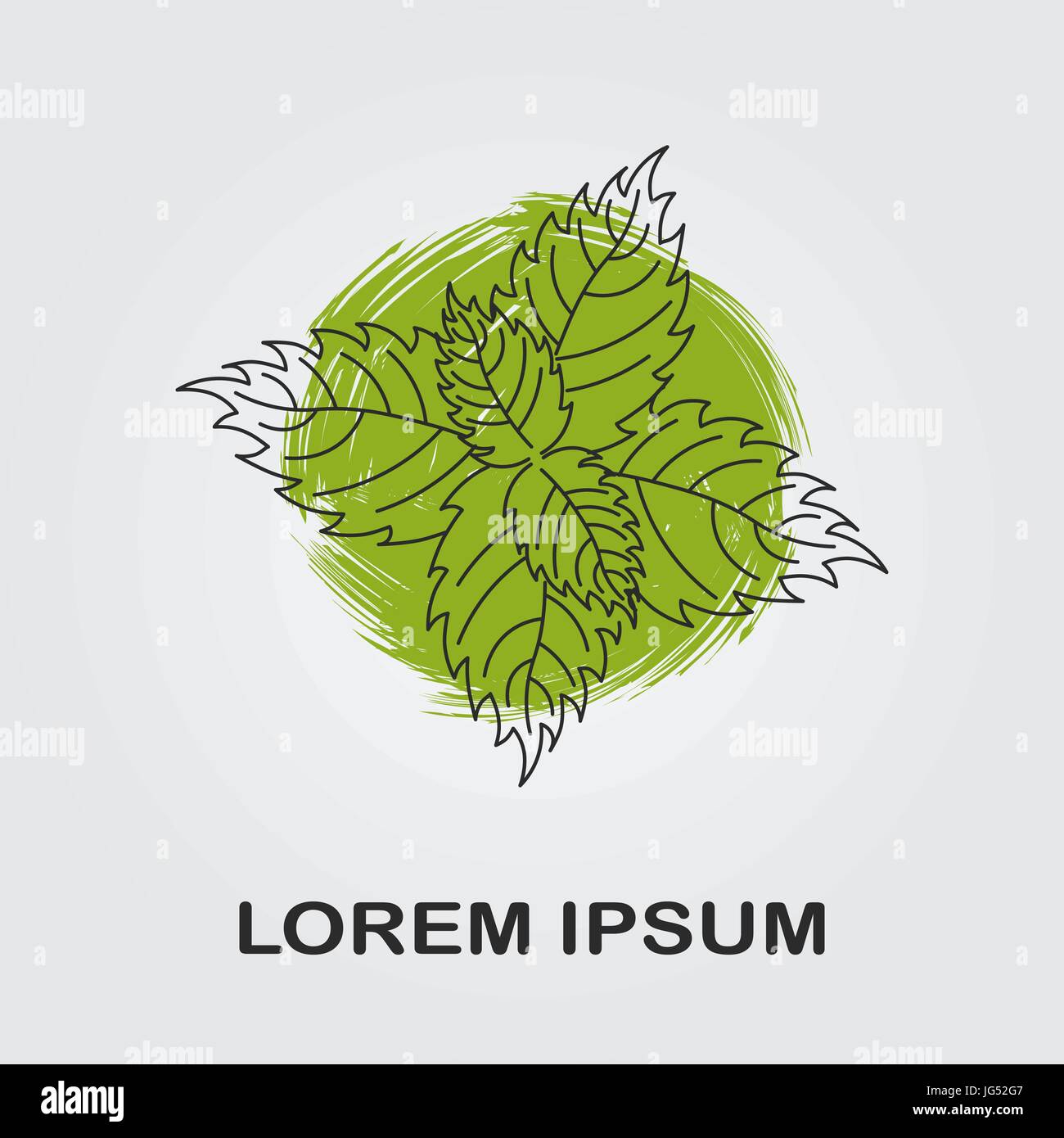 Mint plant natural background Stock Vector Images - Alamy