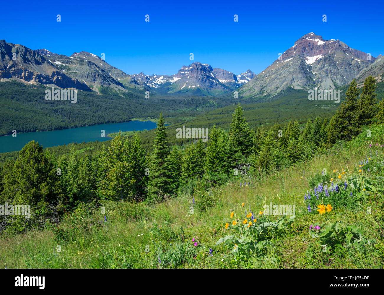wildflowers and lower two medicine lake below peaks of glacier national ...