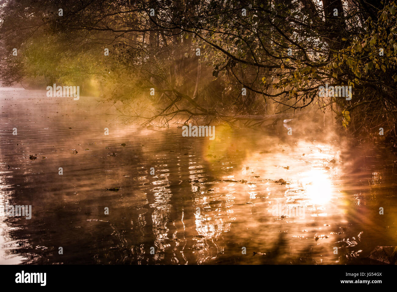 Lakes and nature in Poland. Early morning on a polish lake, sunrise and ...