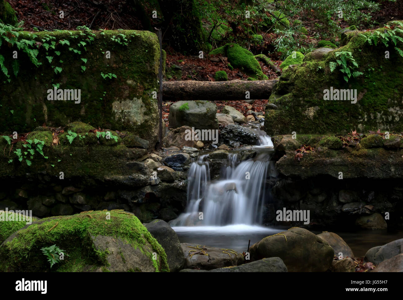 An image of an old logging dam in the Santa Cruz mountains located in ...