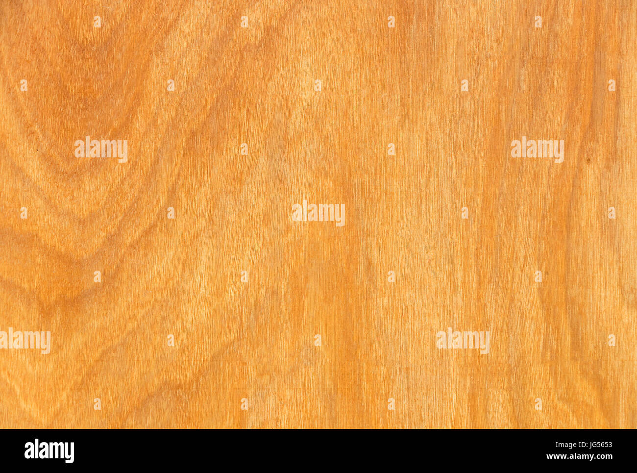 The background of a tree is shot close-up Stock Photo - Alamy