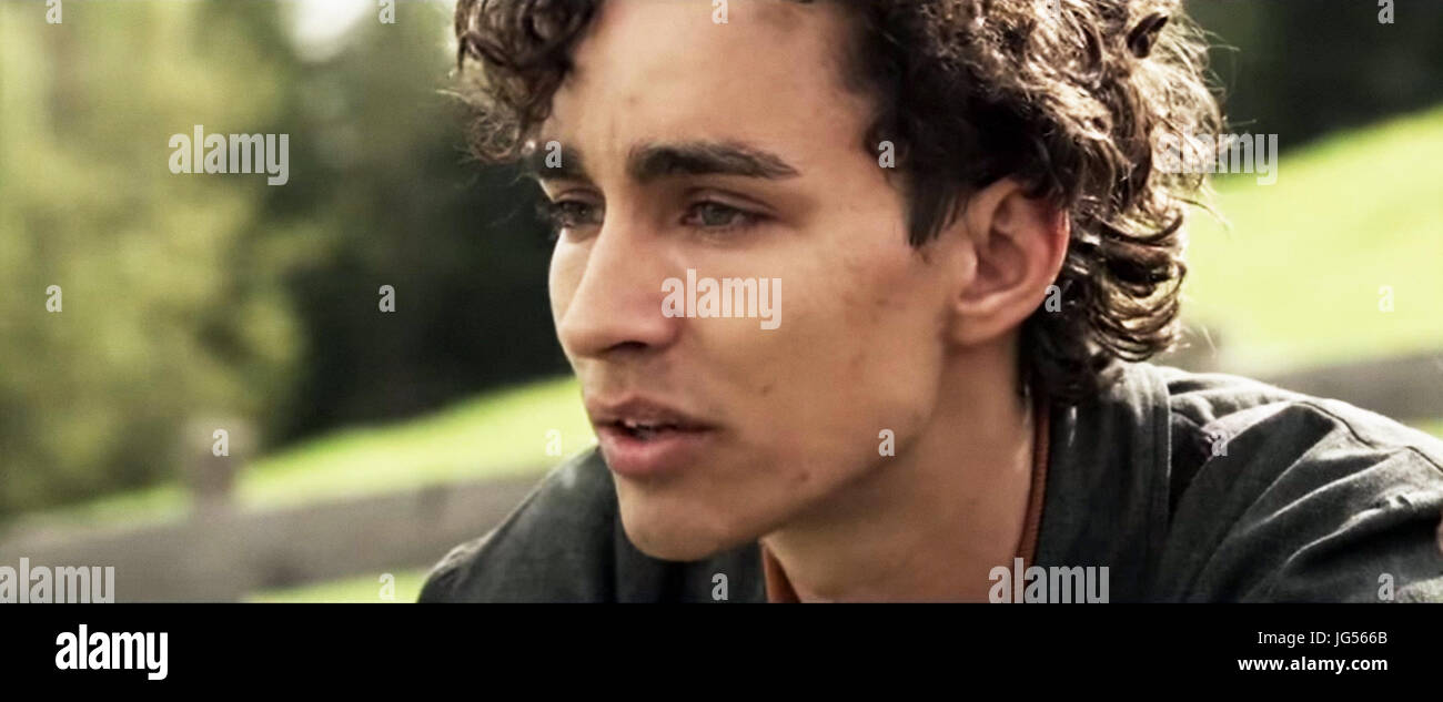 ANITA B., Robert Sheehan, 2014. ©Diginext Films/courtesy Everett ...