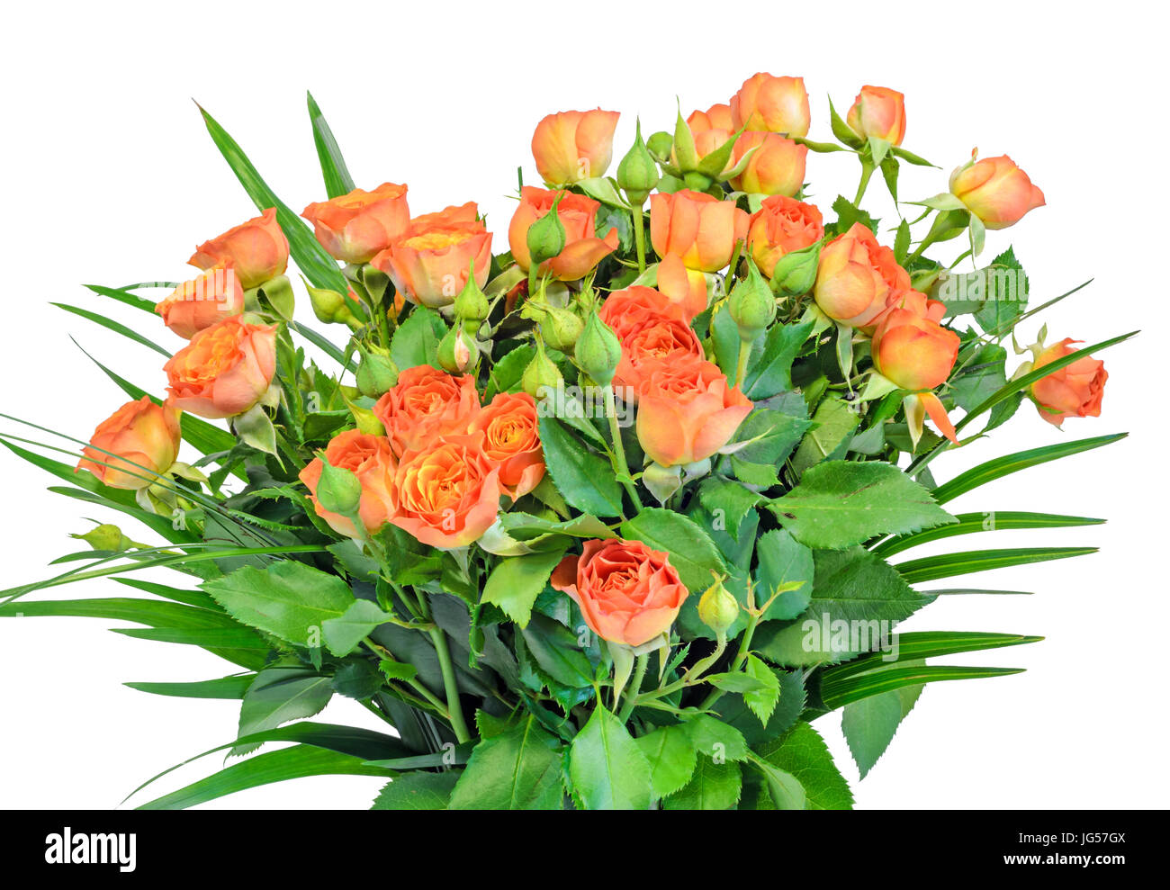 Orange roses flowers, close up, bouquet, floral arrangement Stock Photo ...