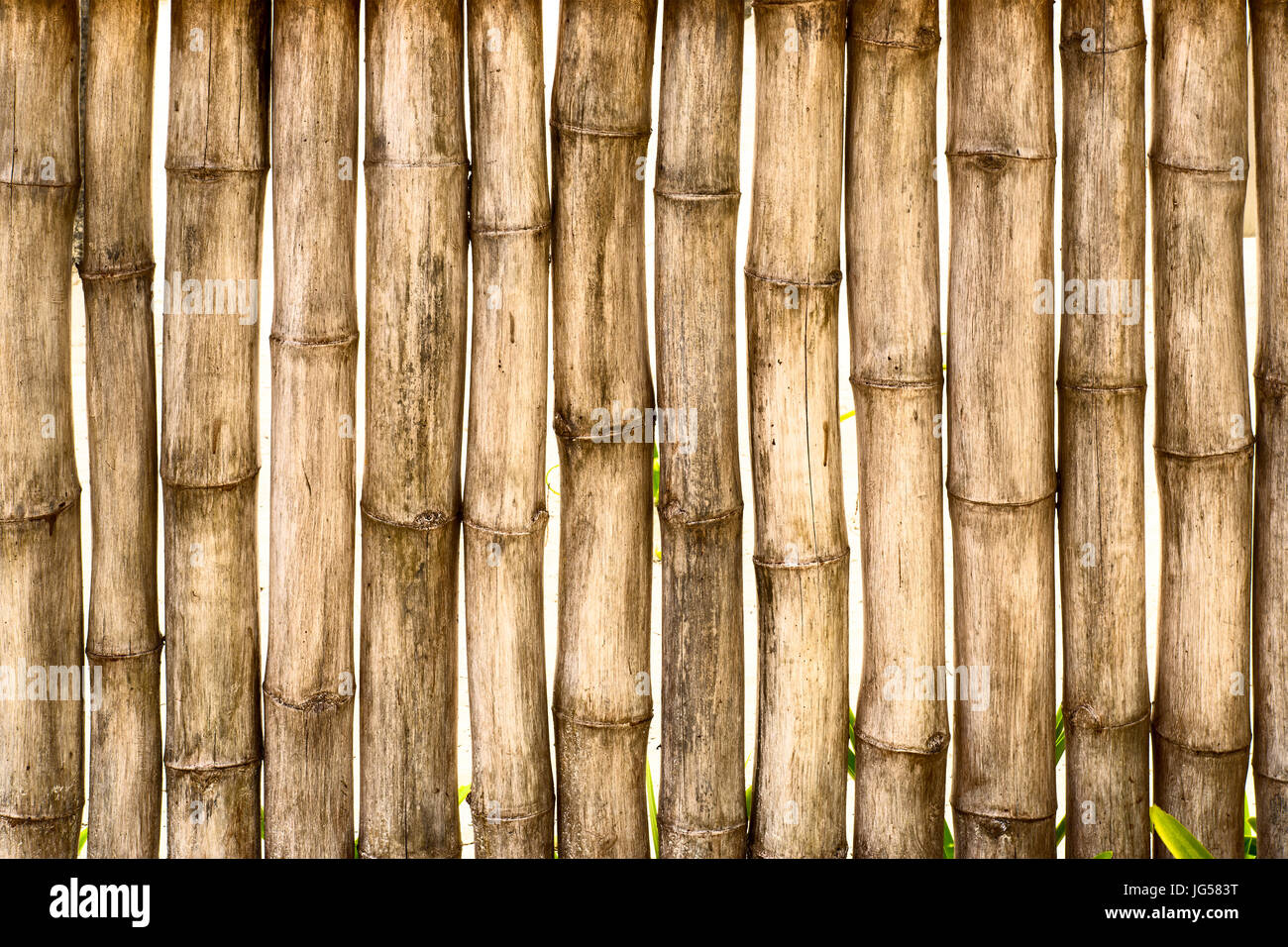 bamboo fence background Stock Photo - Alamy