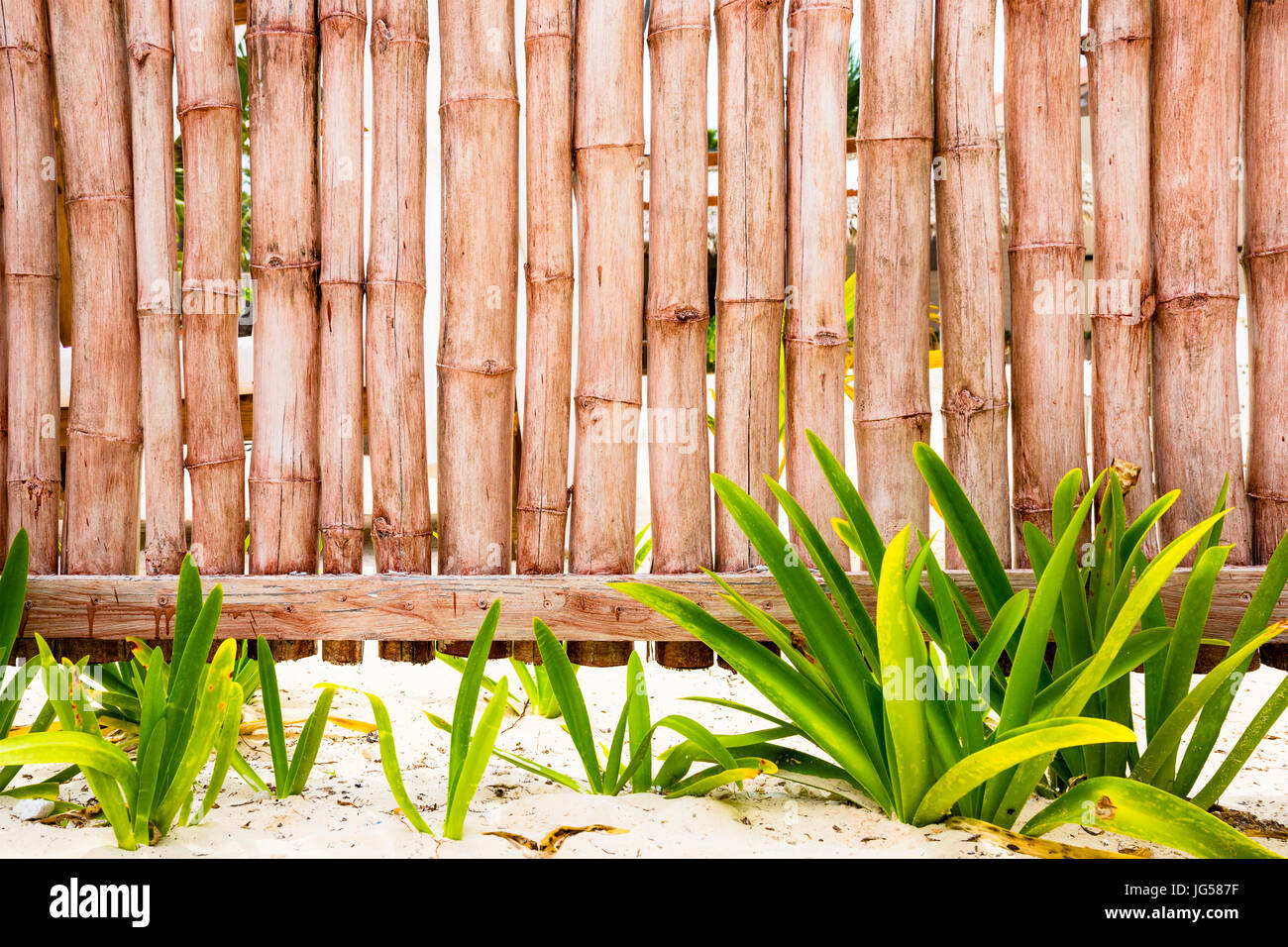 bamboo fence background Stock Photo - Alamy
