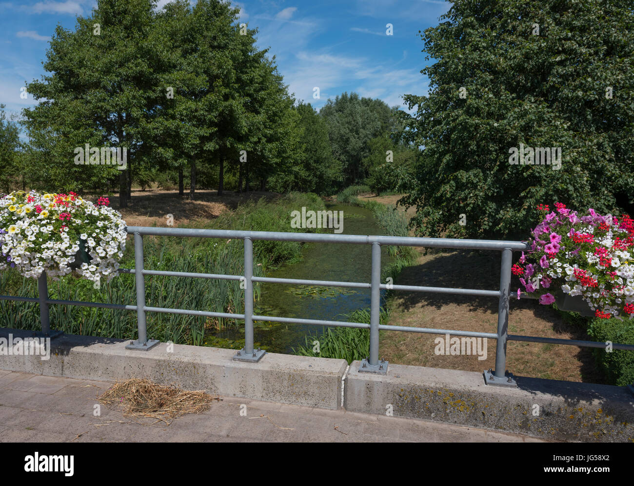 bridge over brook with flowers in countryside near Gooreind north of ...