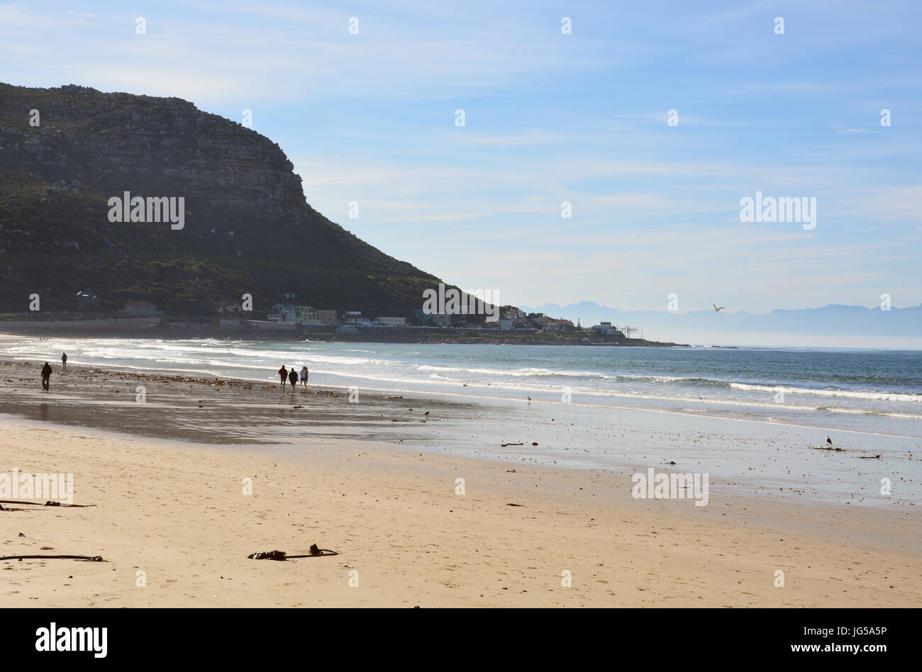 South africa cape peninsula fish hi-res stock photography and images ...