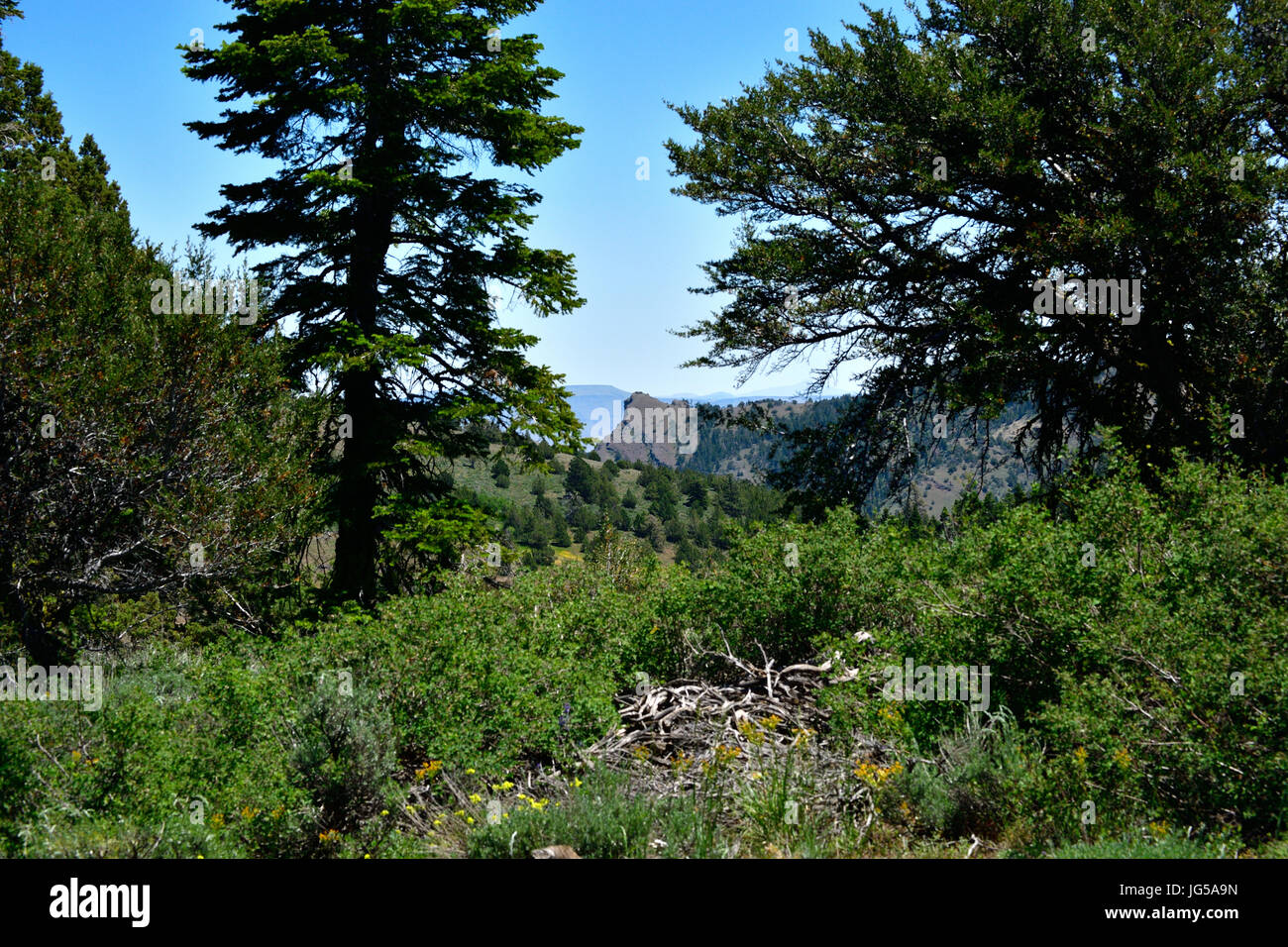 Modoc county hi-res stock photography and images - Alamy