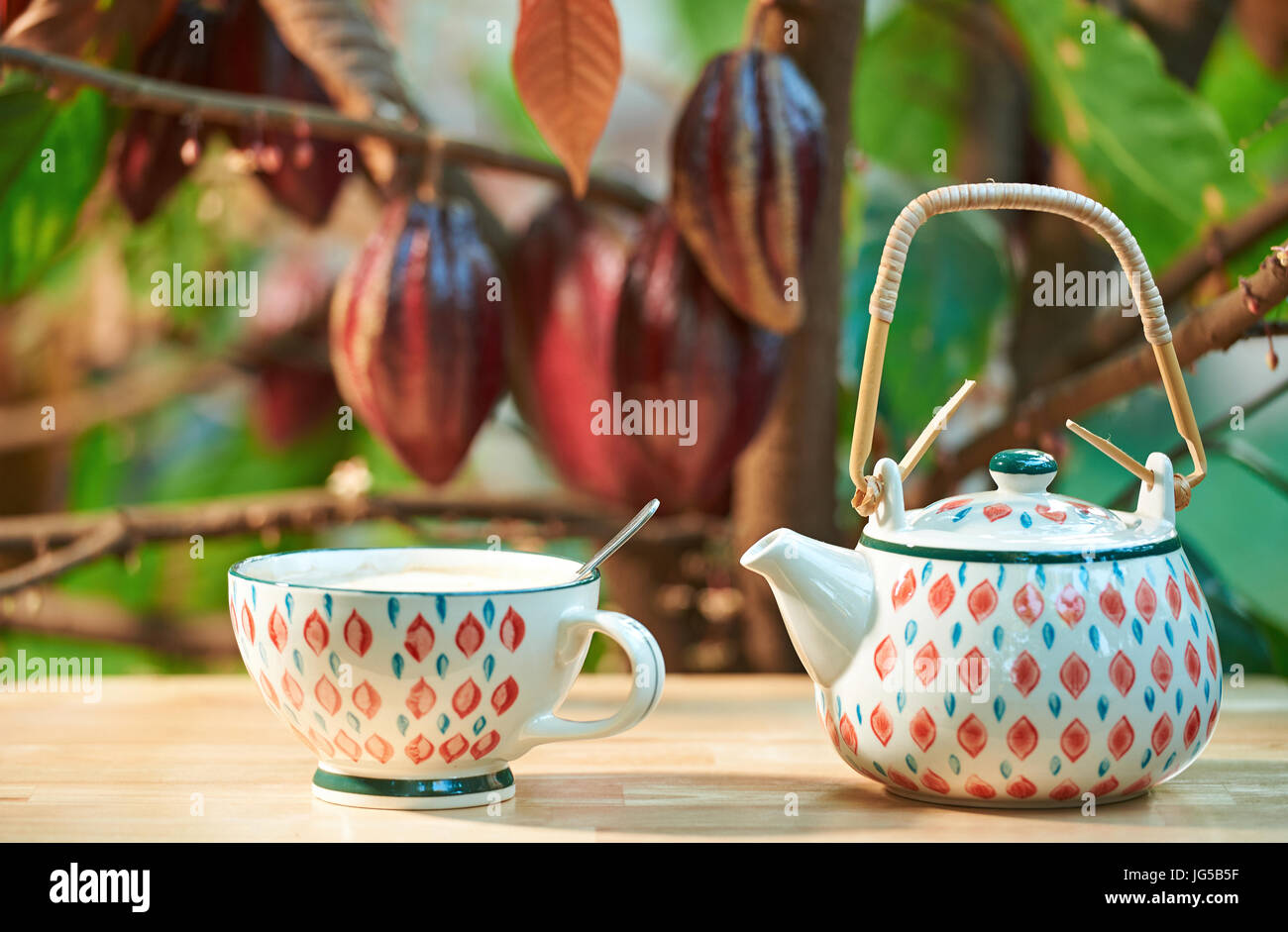 Hot chocolate in cup on wooden table with blurred cocoa tree branch and ...