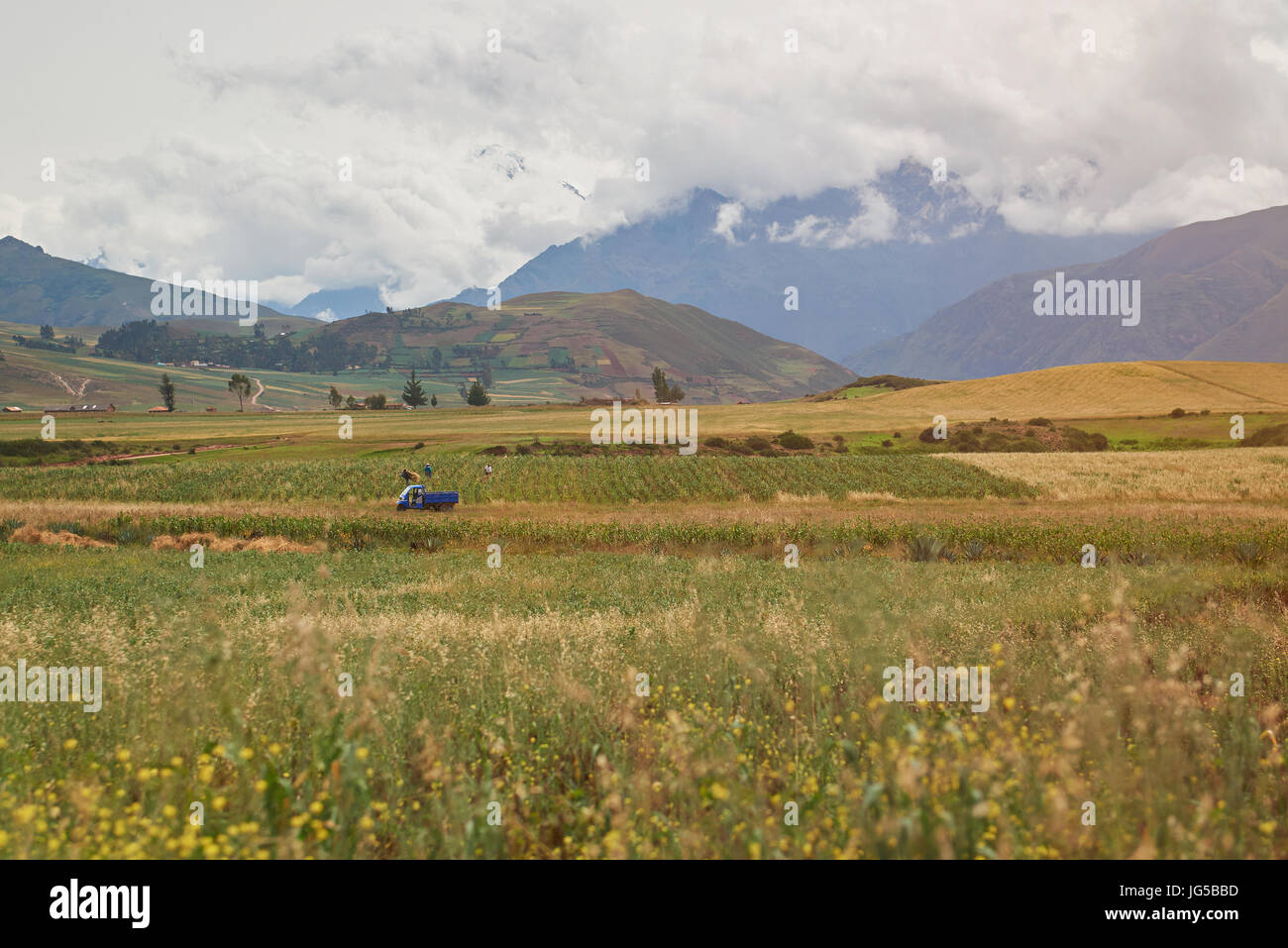 Working in paddy field hi-res stock photography and images - Alamy