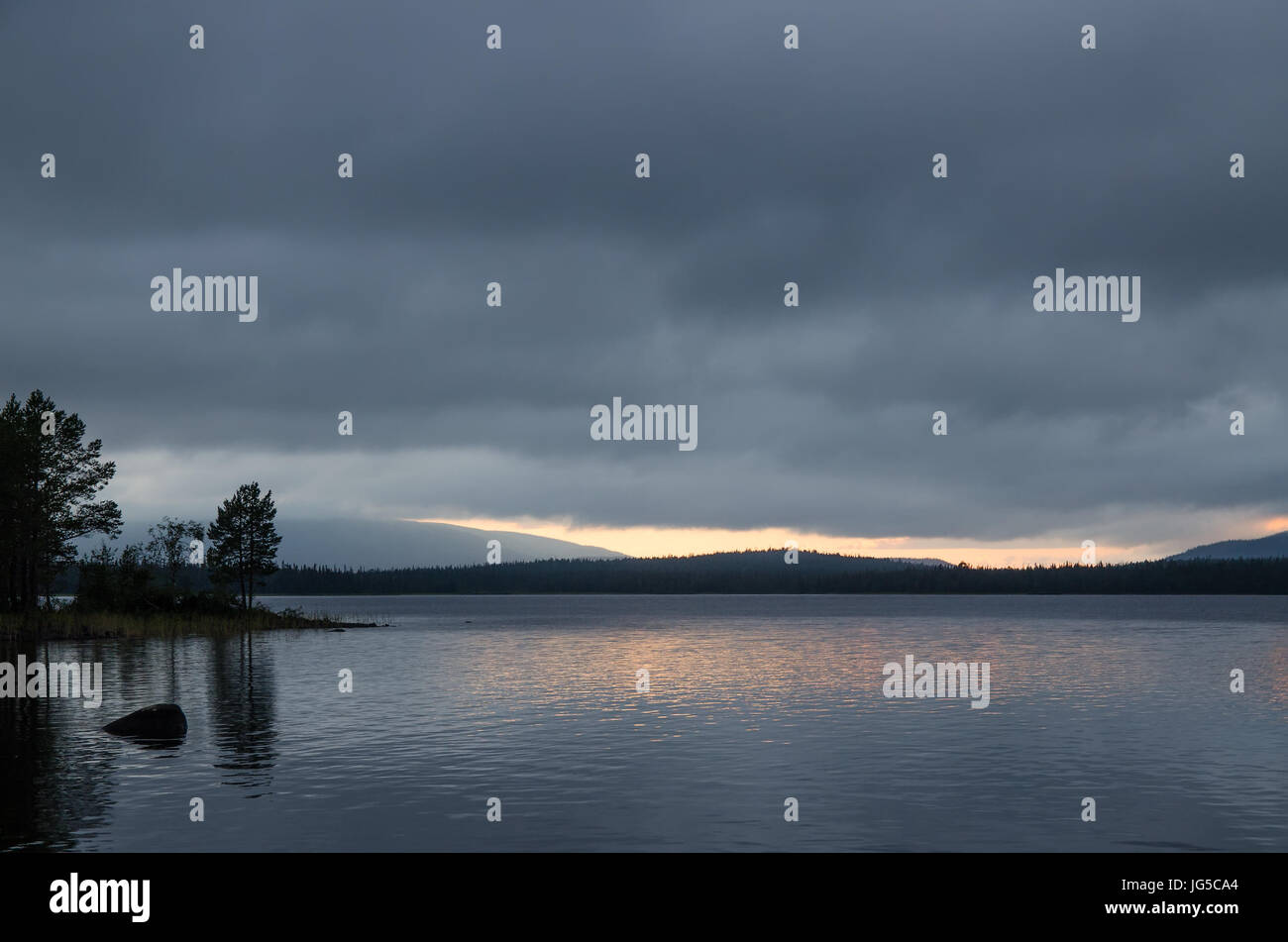 Wooded shore of a large lake. Forests along the coast. Kola Peninsula ...
