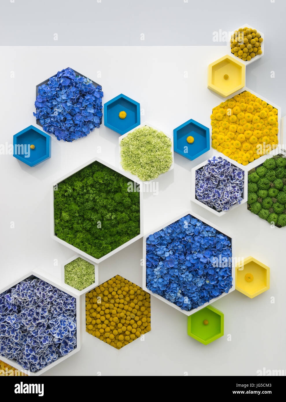 Hexagon shapes hi-res stock photography and images - Alamy