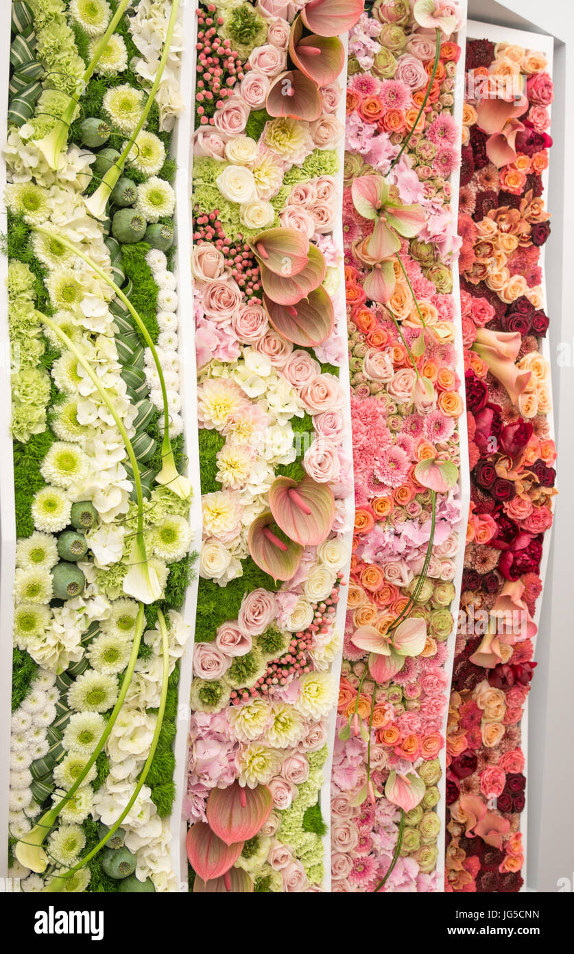 Layered floral display Stock Photo - Alamy