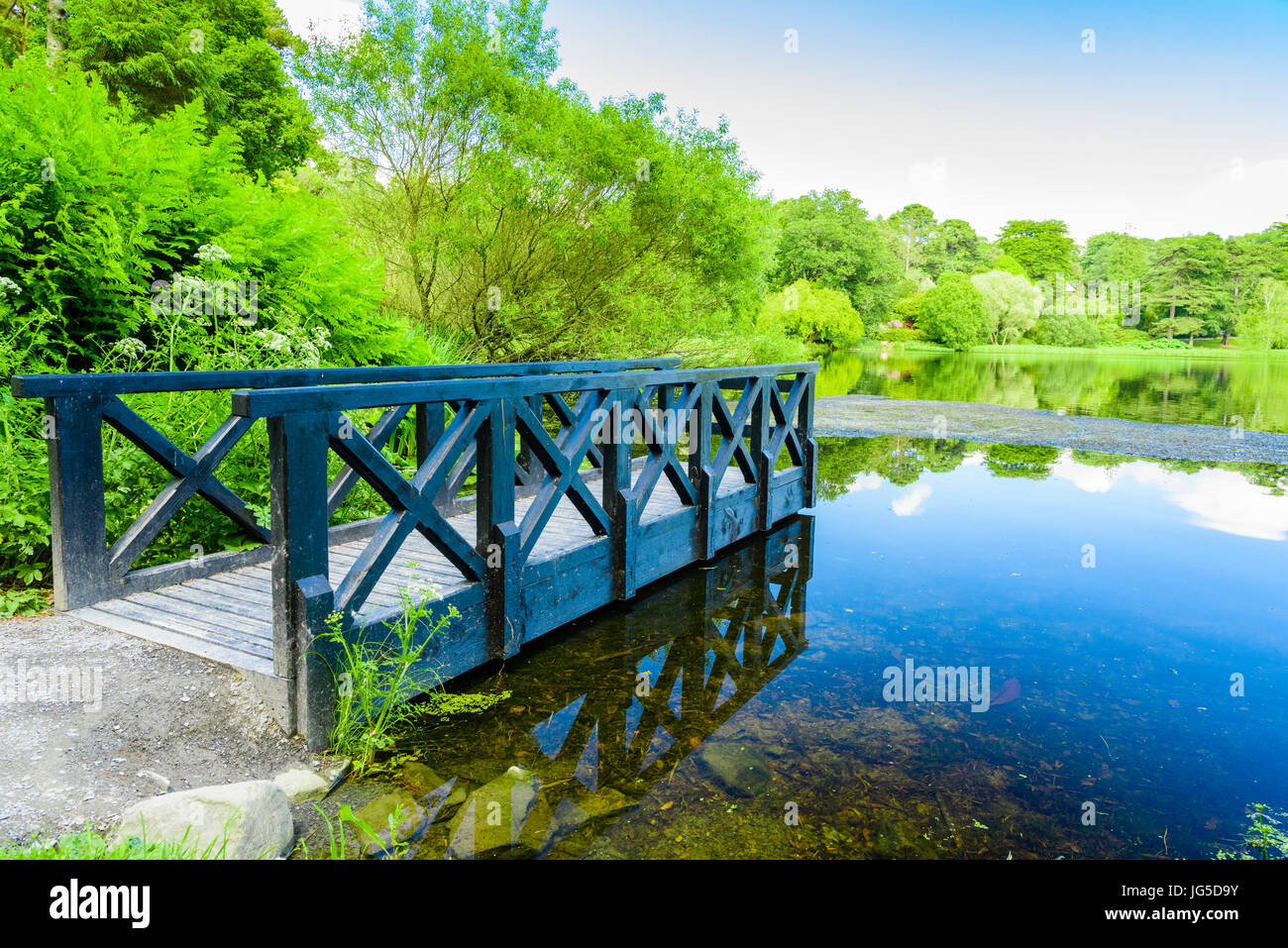 Light reflections on a tree hi-res stock photography and images - Alamy