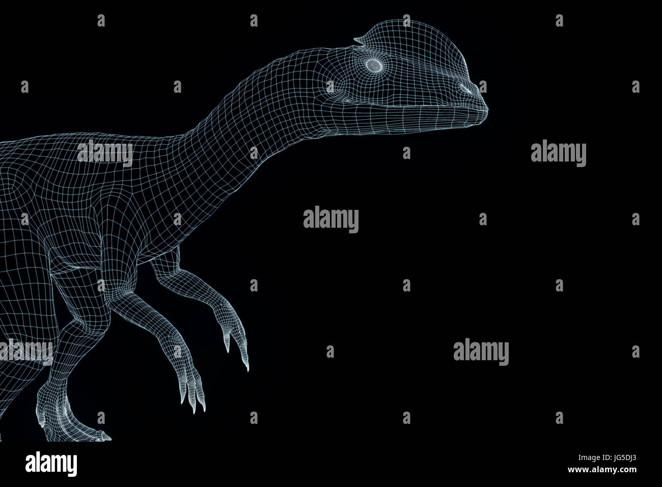 Dilophosaurus Skeleton