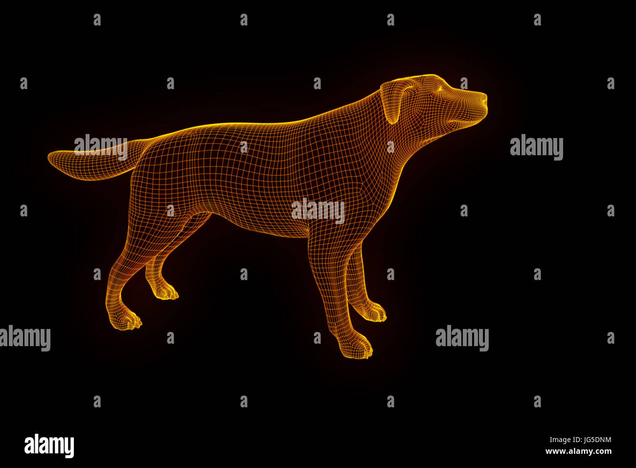 Dog in Hologram Wireframe Style. Nice 3D Rendering Stock Photo - Alamy