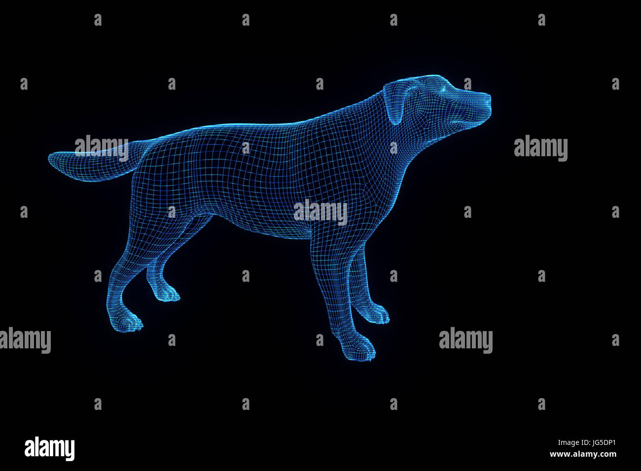 Dog in Hologram Wireframe Style. Nice 3D Rendering Stock Photo - Alamy