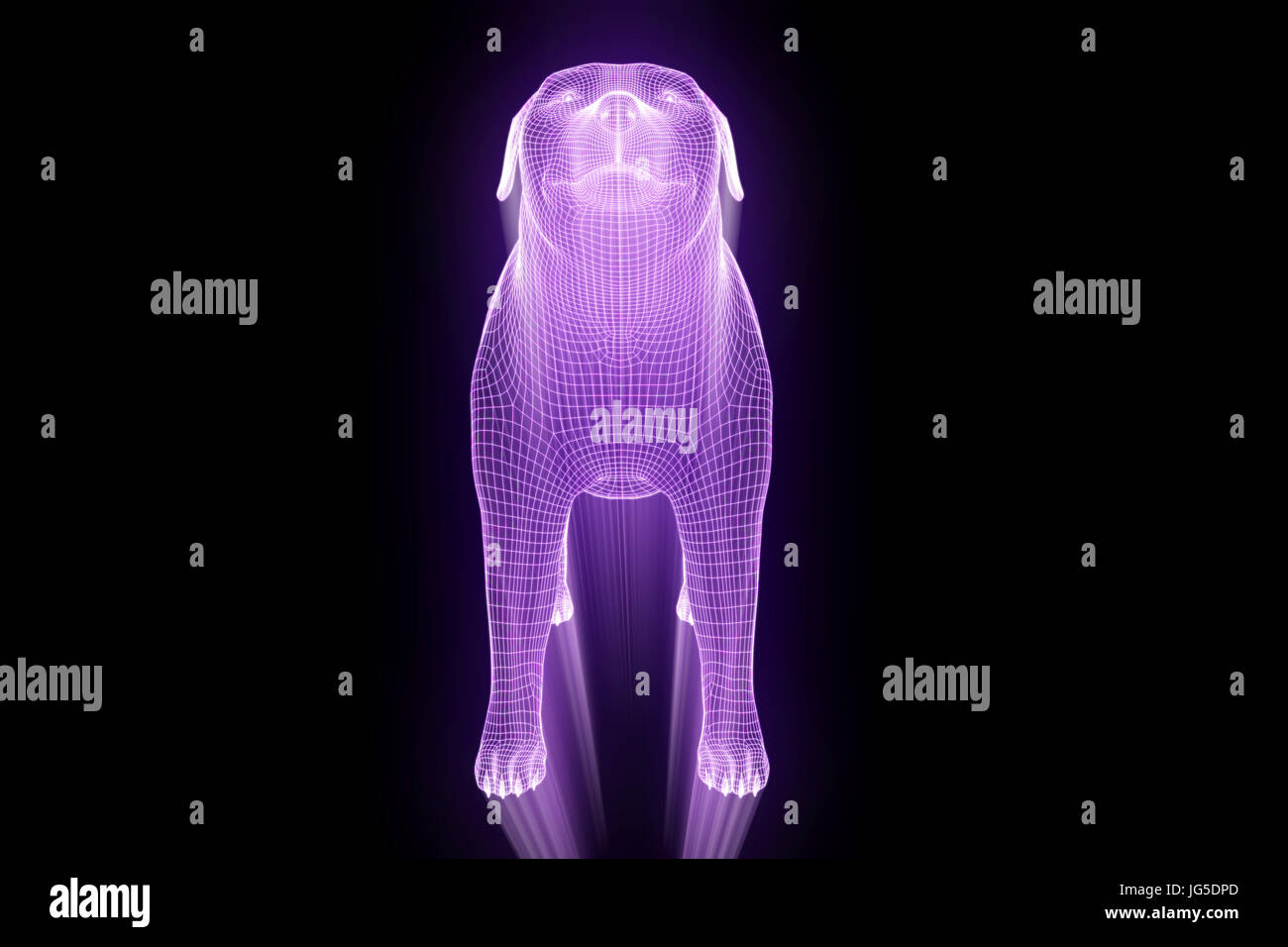 Dog in Hologram Wireframe Style. Nice 3D Rendering Stock Photo - Alamy