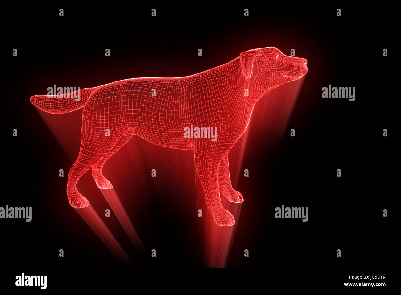 Dog in Hologram Wireframe Style. Nice 3D Rendering Stock Photo - Alamy