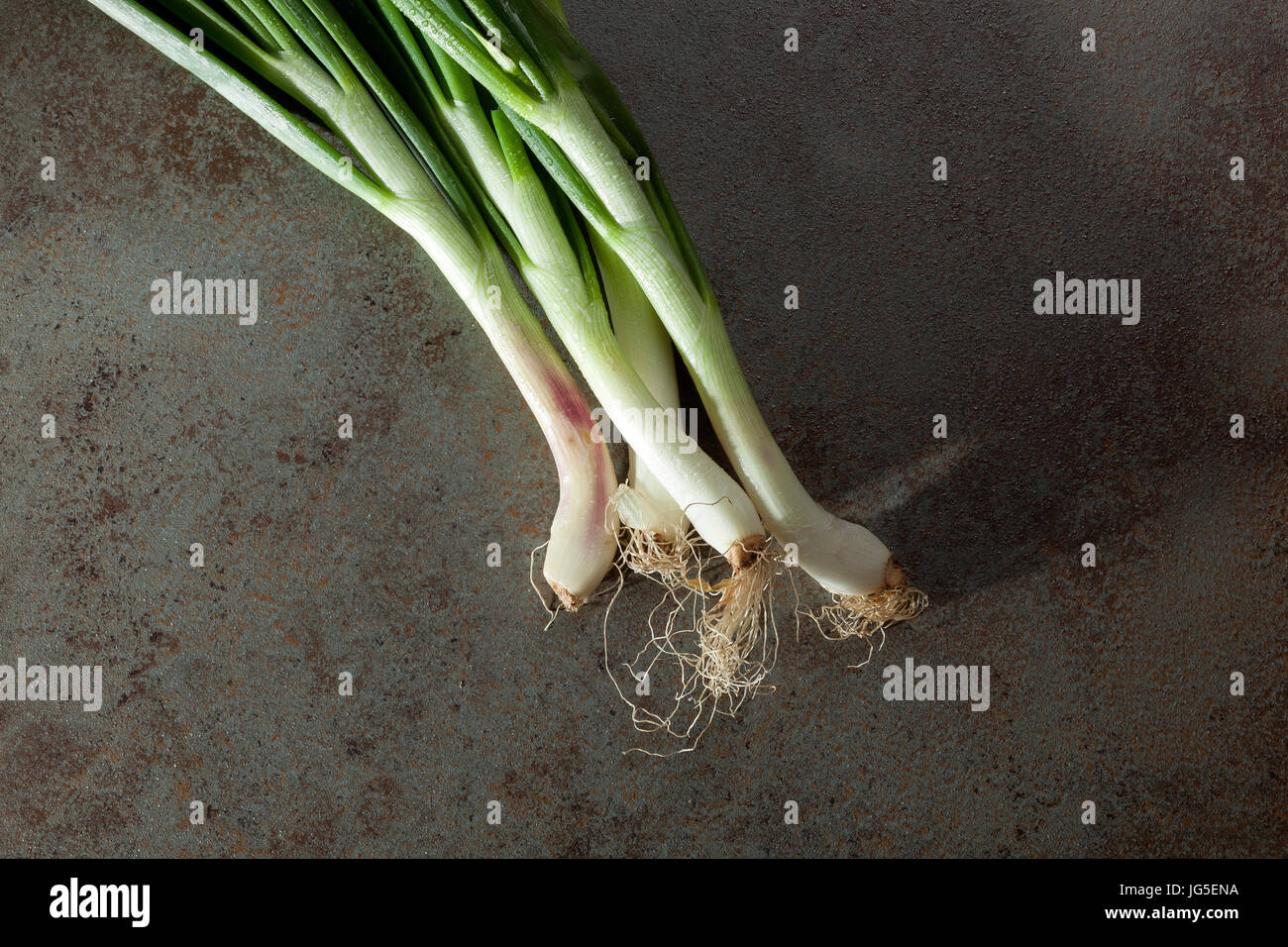Fresh green onion stalks with water drops on ceramic hob background ...