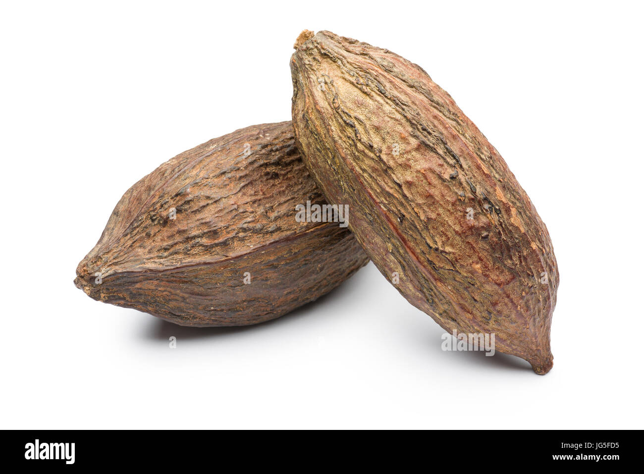 two cocoa pod on white background Stock Photo - Alamy