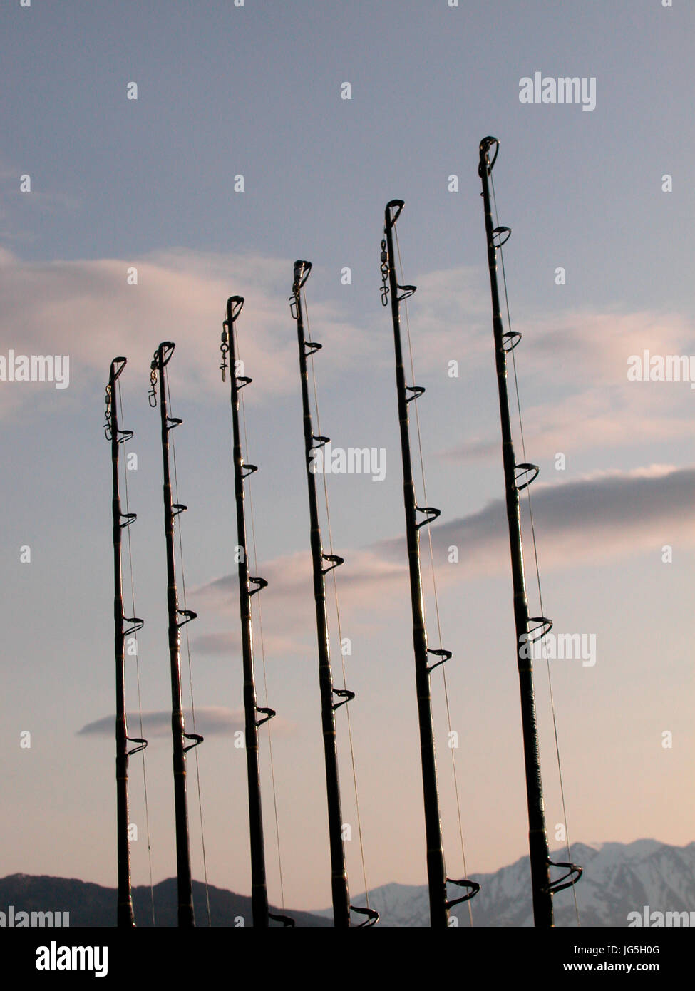 Halibut fishing rods on a charter boat, Seward, Alaska Stock Photo - Alamy