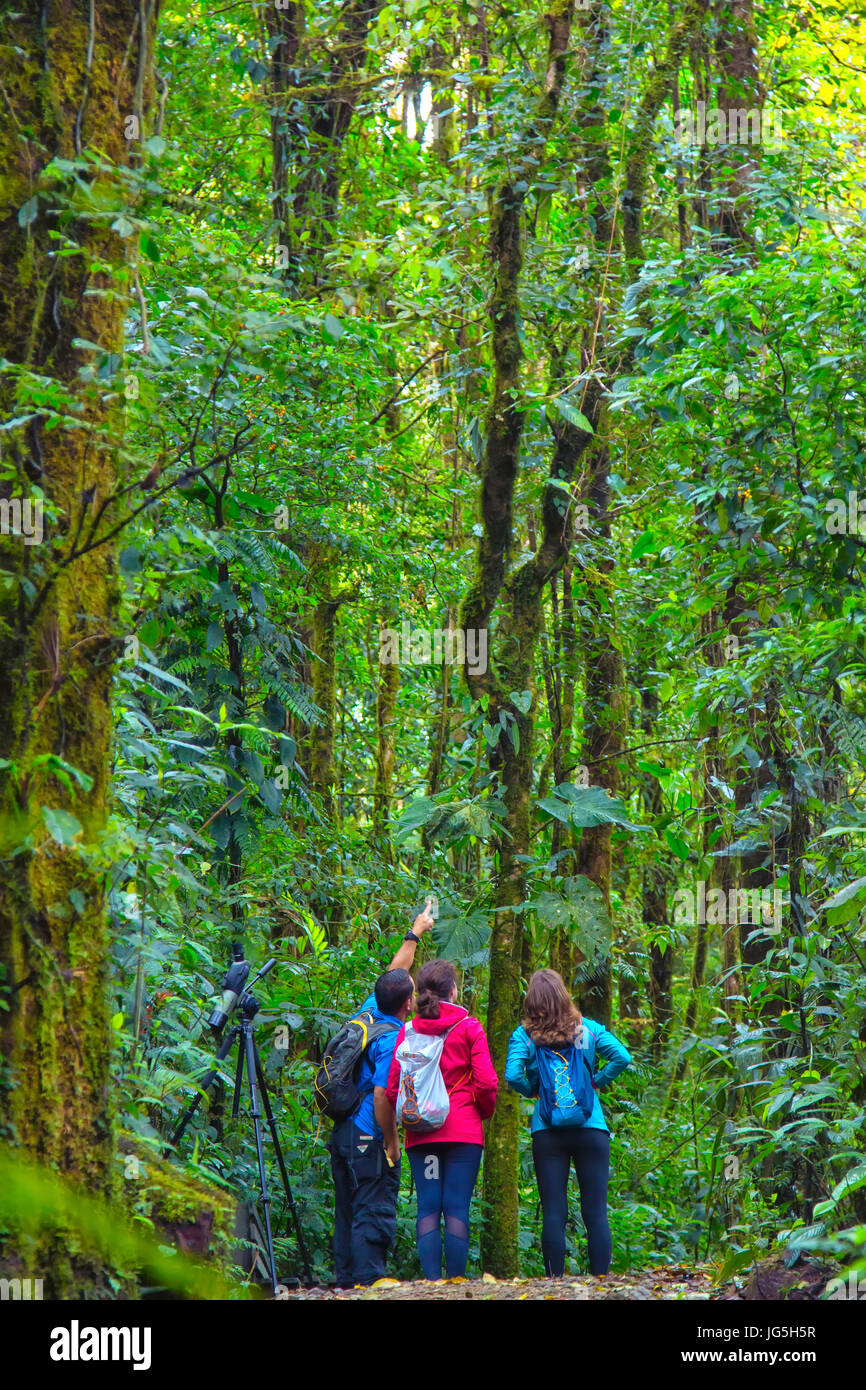 Monteverde biological reserve, Costa Rica Stock Photo - Alamy