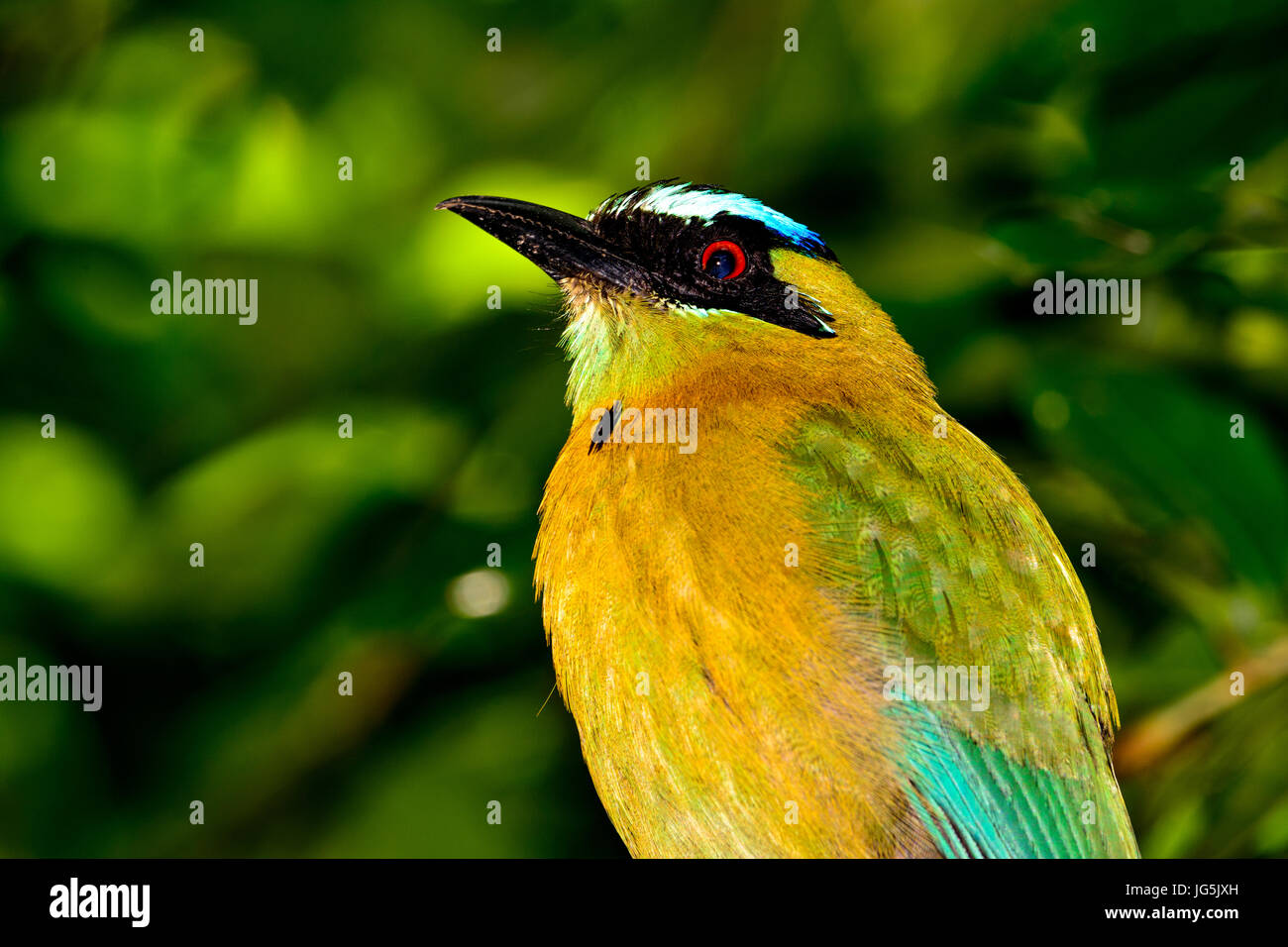 Peru and guatemala hi-res stock photography and images - Alamy
