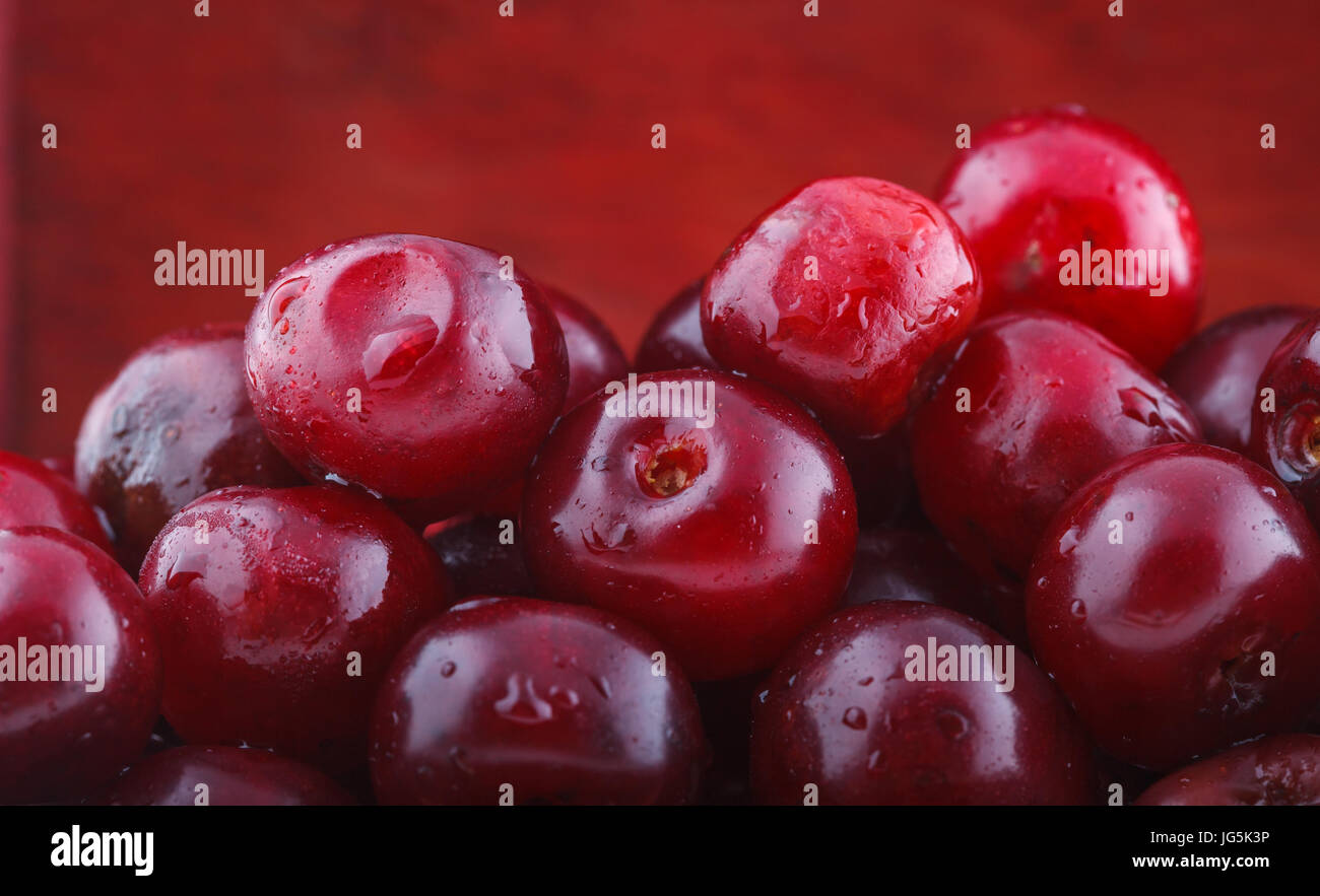 Red morello cherries stacked in a handmade wooden chest box Stock Photo ...