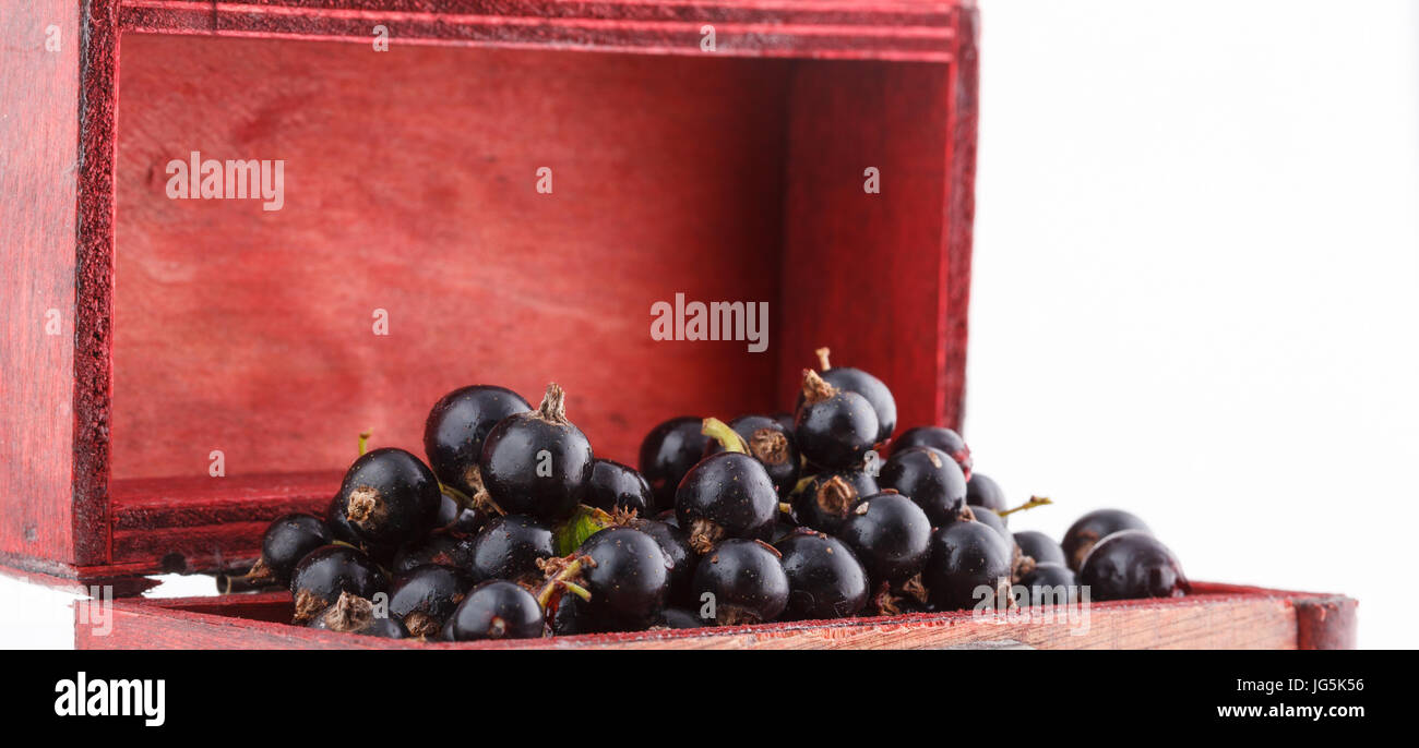 Black currant and berries stacked in a handmade wooden chest box ...
